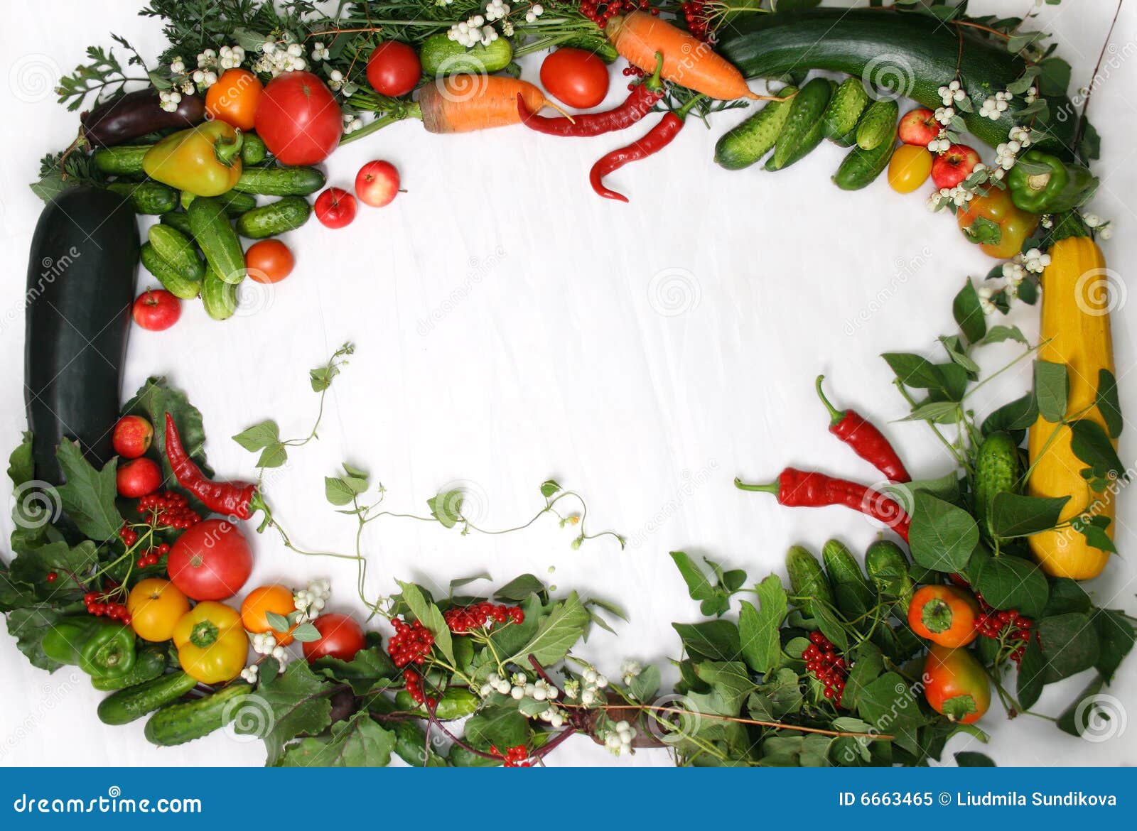 Frame Vegetables stock image. Image of arrangement, berry - 6663465