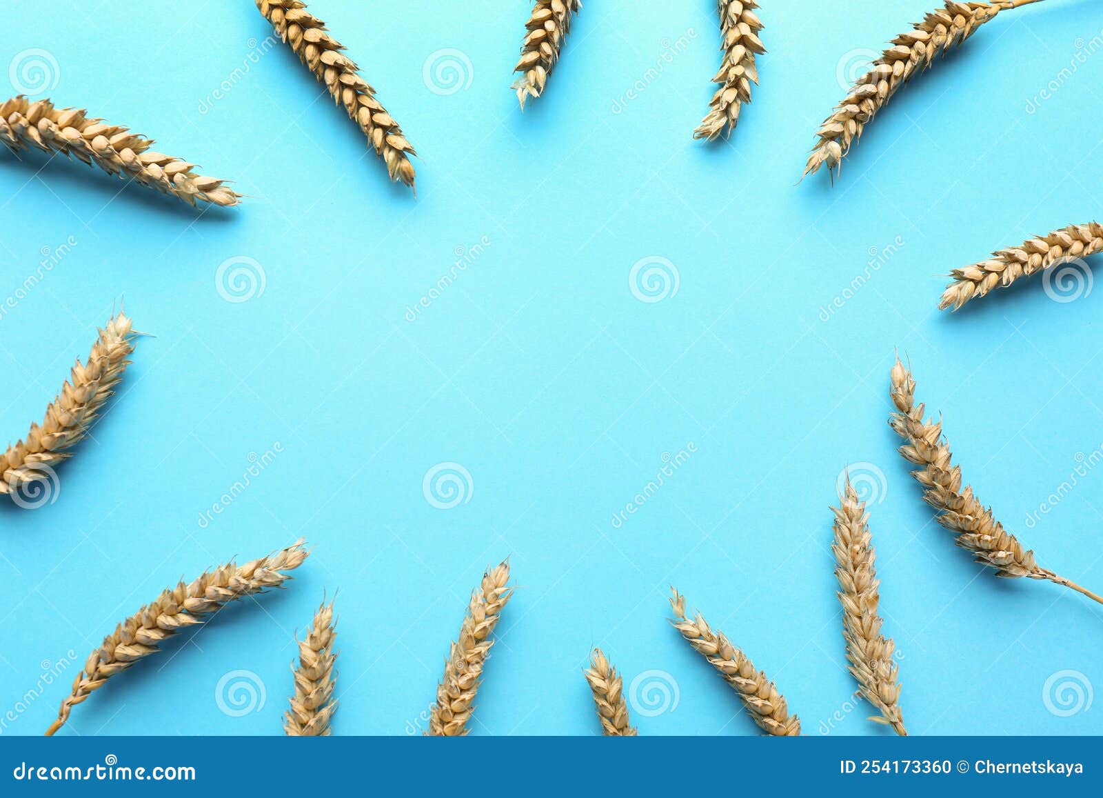 Frame of Wheat on Light Blue Background, Flat Lay. Space for Text Stock ...