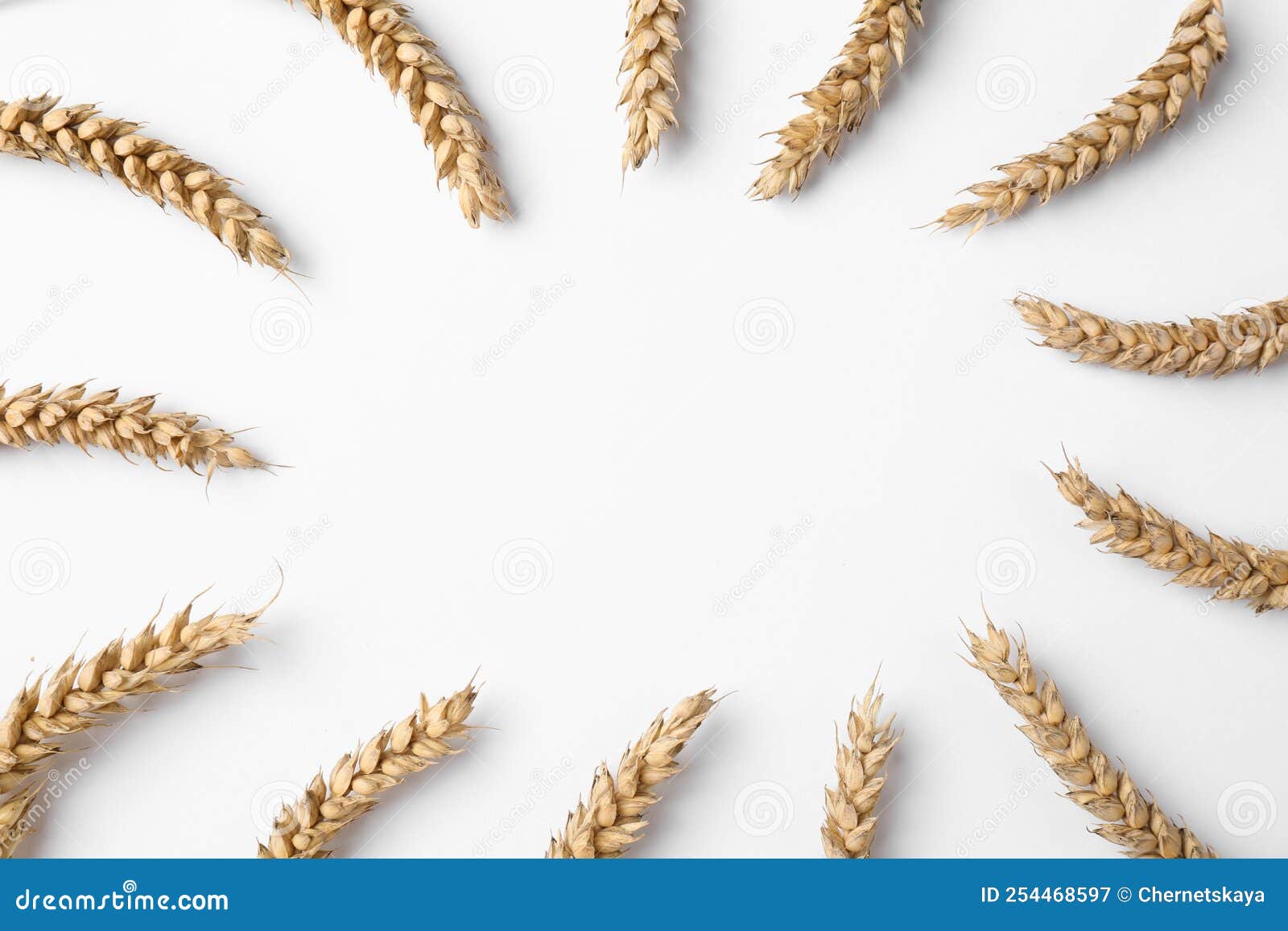 Frame of Wheat on White Background, Flat Lay. Space for Text Stock ...