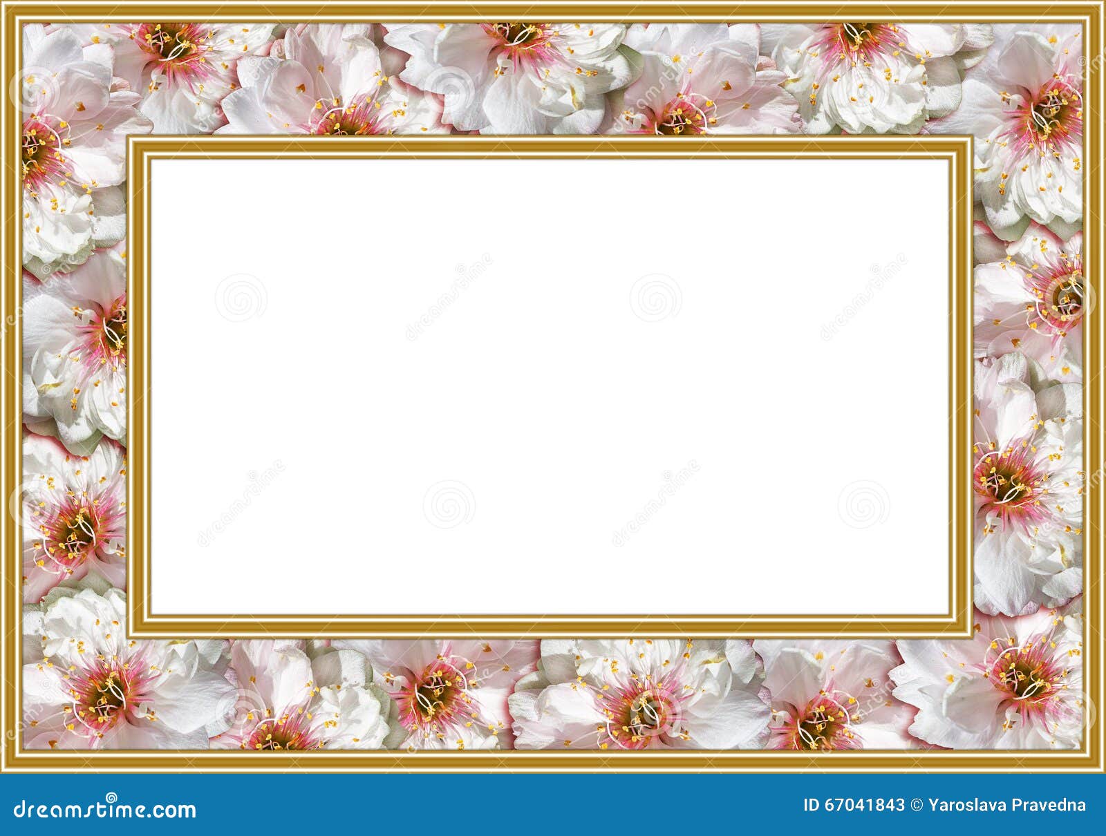Frame with white flowers stock image. Image of cherry - 67041843