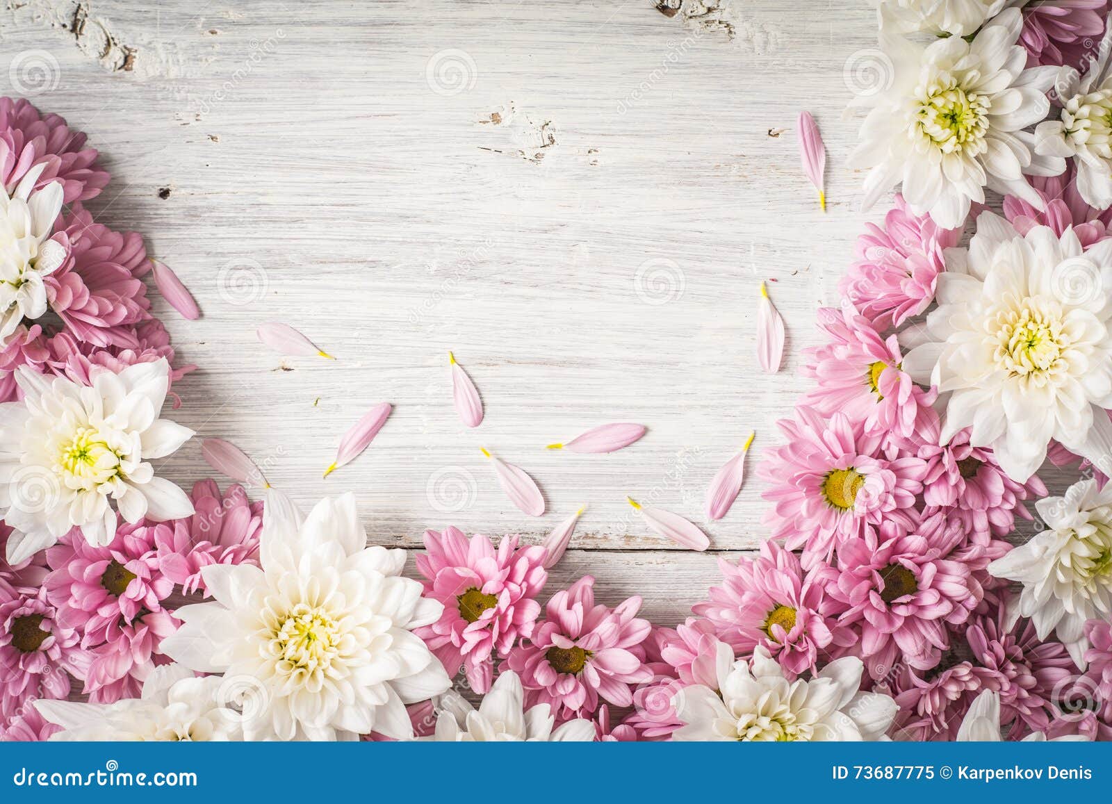 Frame of White and Pink Flower on the White Wooden Table Top View Stock ...