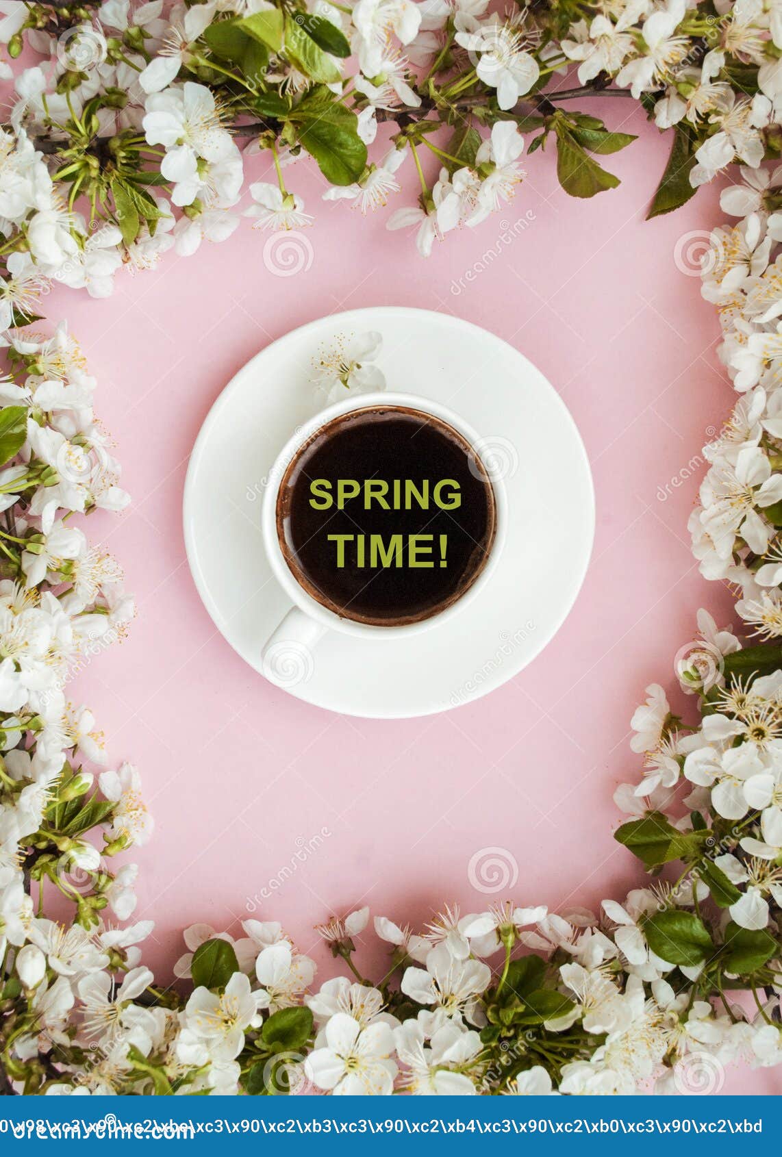 Frame of White Spring Flowers on a Pink Background, White Cup of Coffee ...