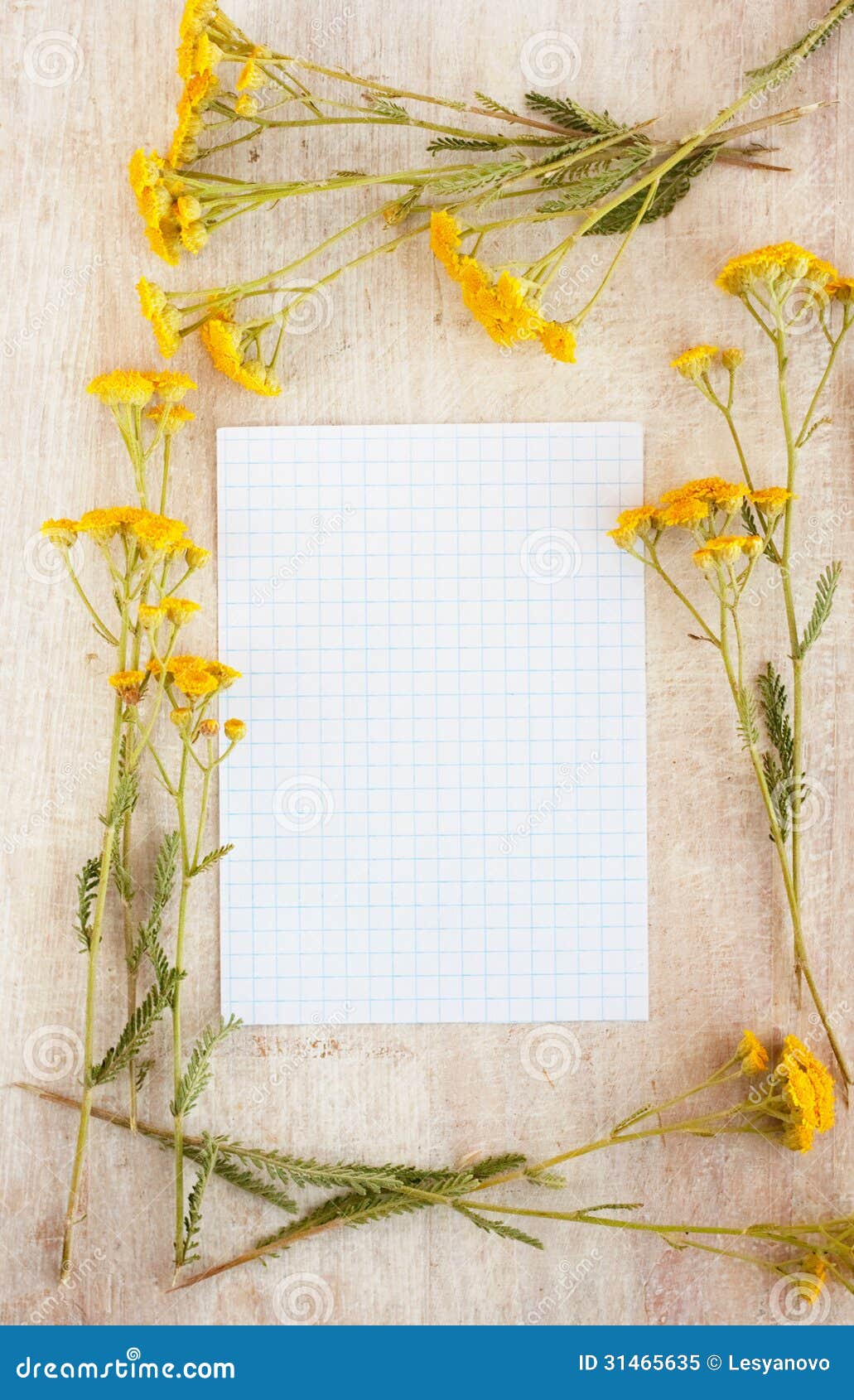 Frame of Wild Flowers for Writing Stock Image - Image of recording ...