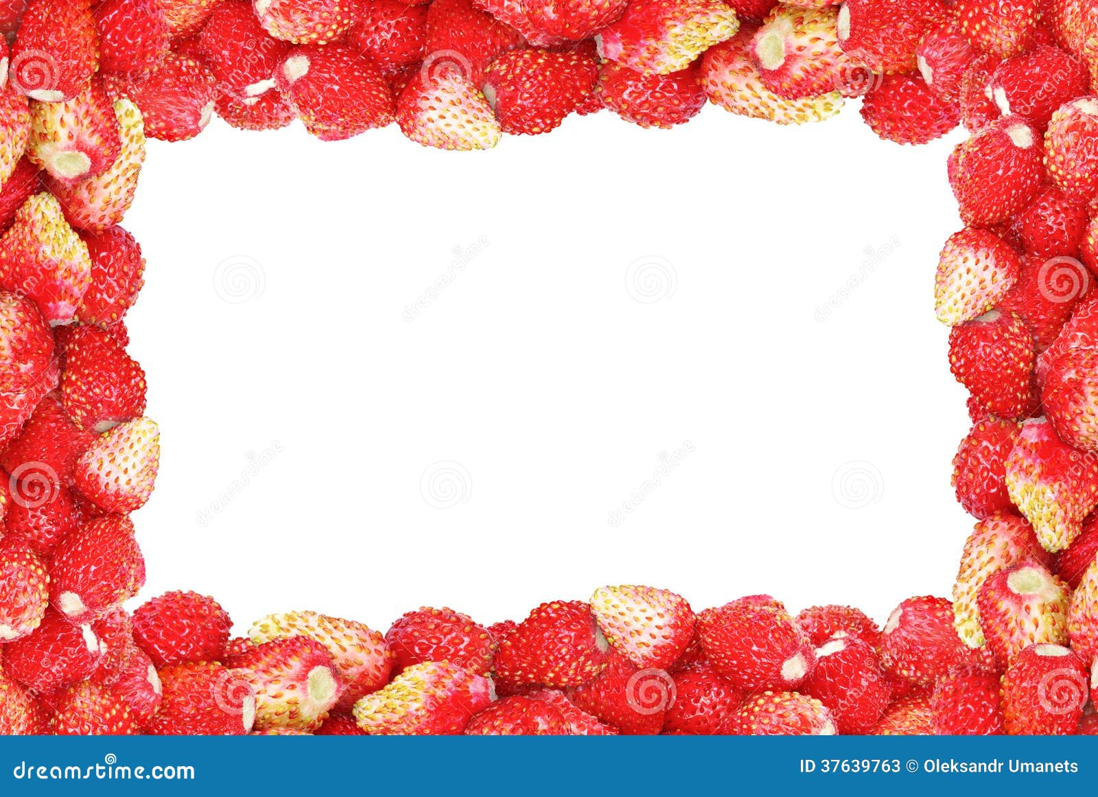 Frame Of Wild Strawberry Isolated On A White Background Stock Image ...