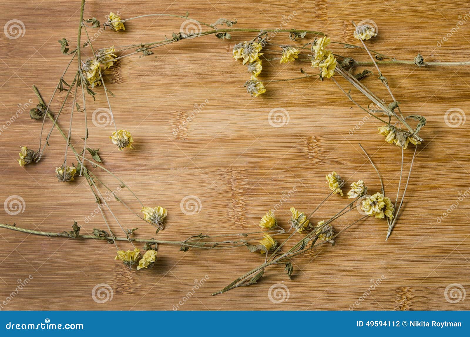 Frame of withered flowers stock photo. Image of graceful - 49594112