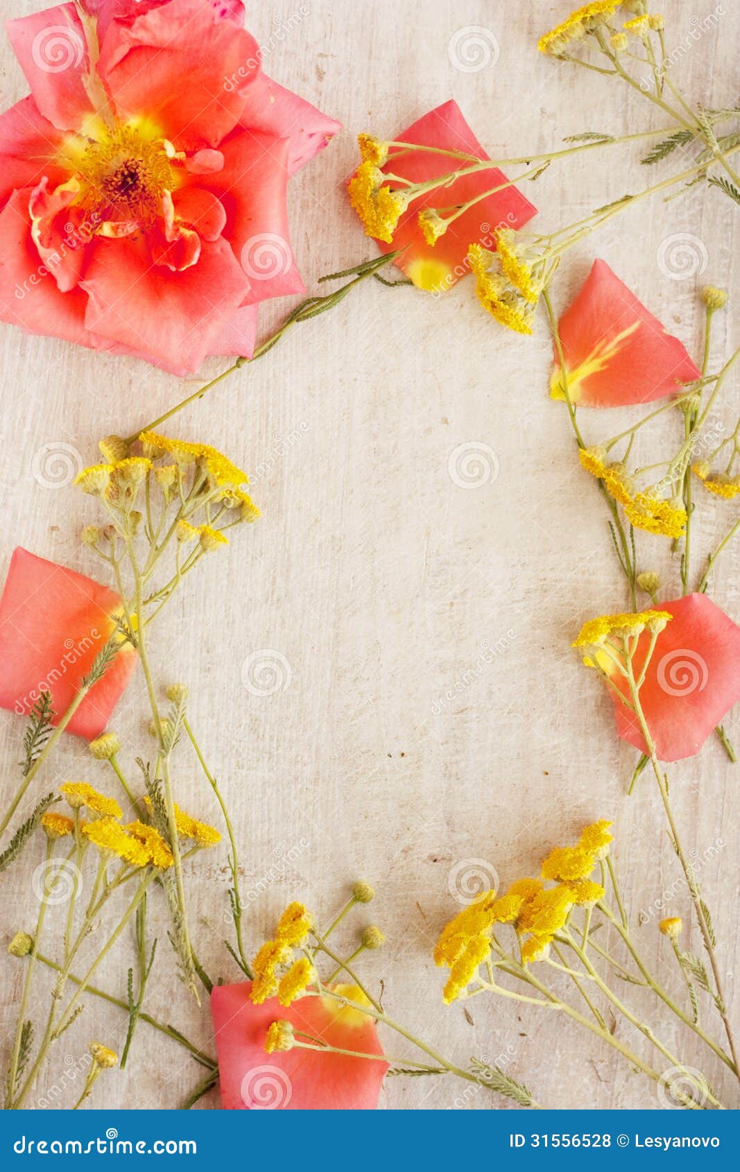 Frame for Writing or Photo of Flowers Stock Photo - Image of view, mail ...