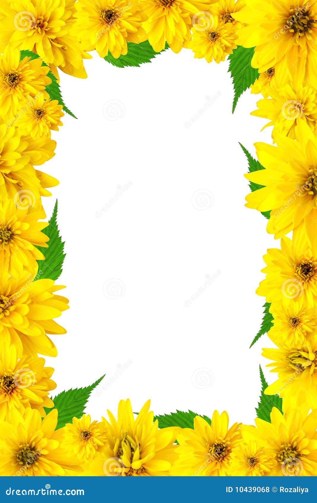 Frame with yellow flowers stock photo. Image of circle - 10439068