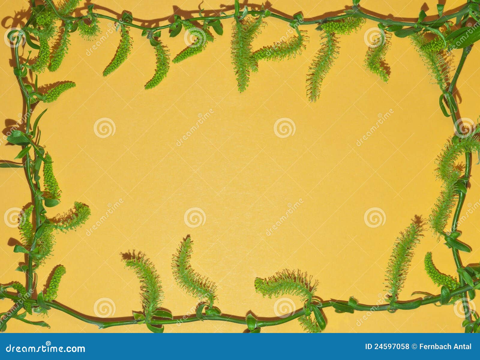 Frame yellow green stock photo. Image of organic, closeup - 24597058