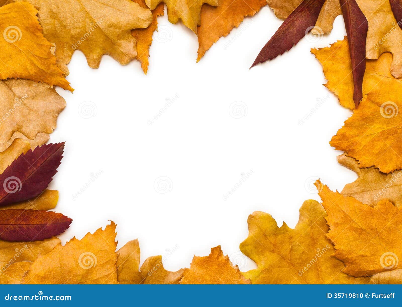 Frame of yellow leaves stock photo. Image of element - 35719810