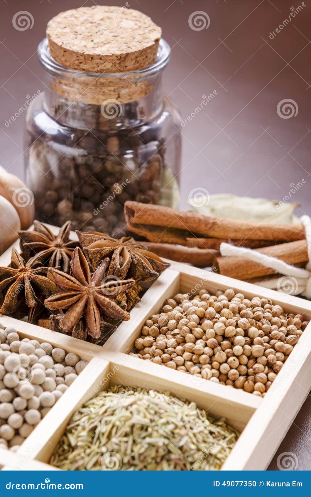 Framed Collection of Spices Stock Photo - Image of plants, pepper: 49077350