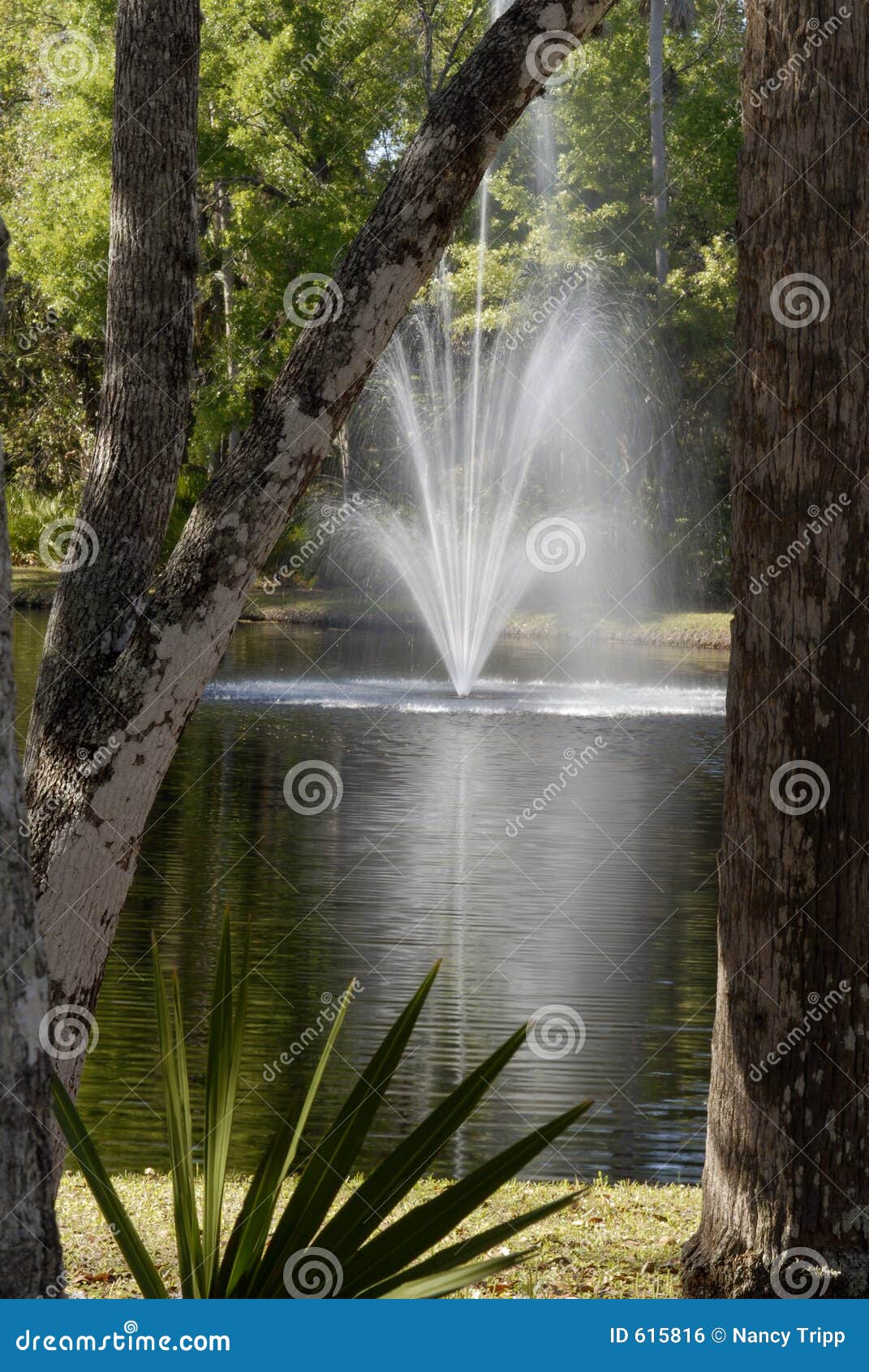 Framed Fountain stock photo. Image of frame, serene, mist - 615816
