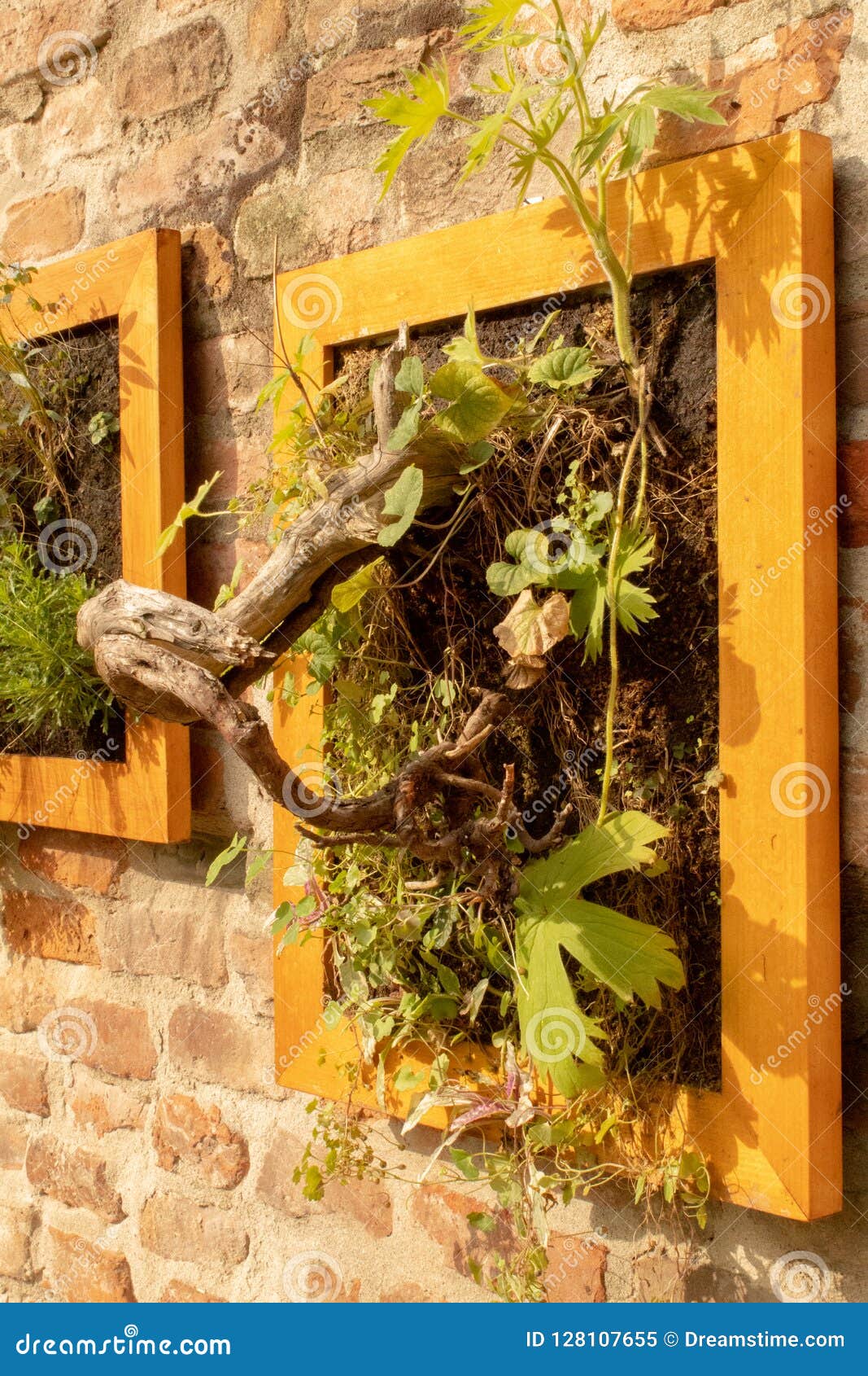 Framed root stock image. Image of root, sculpture, brass - 128107655