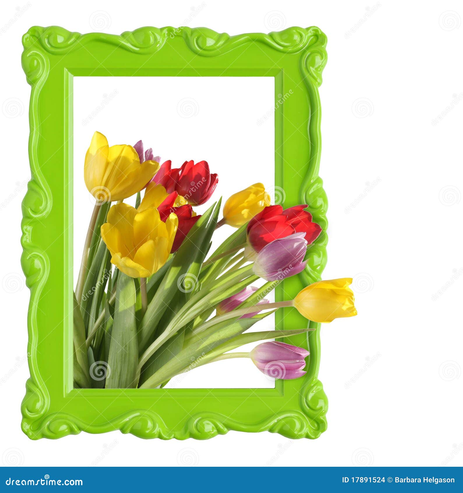 Framed tulips stock photo. Image of vase, vibrant, white - 17891524