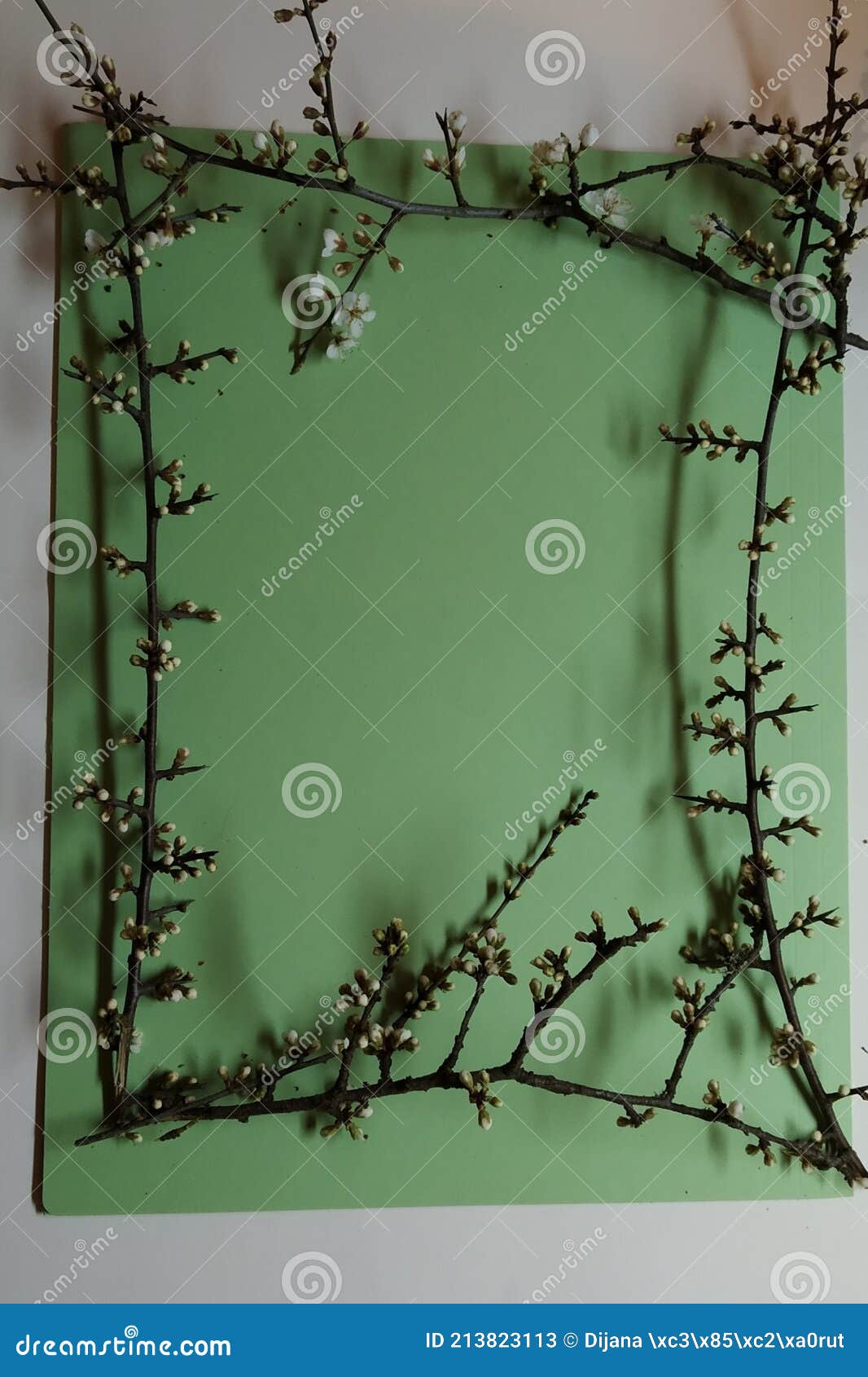 Frameof Blackthorn Twigs on the Green Background Stock Image - Image of ...
