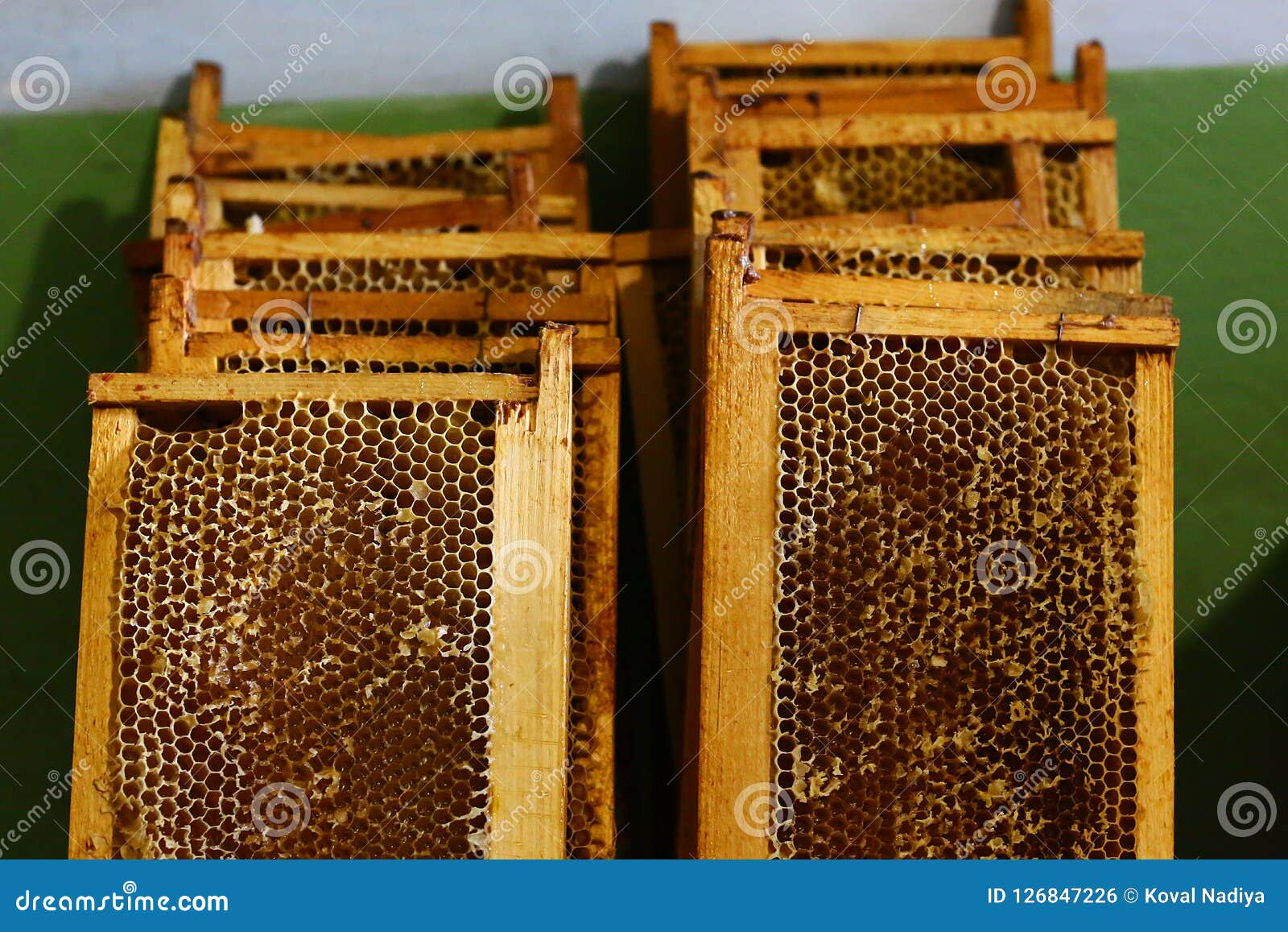 Frames with Bees Wax Structure Full of Fresh Bee Honey in Honeycombs ...