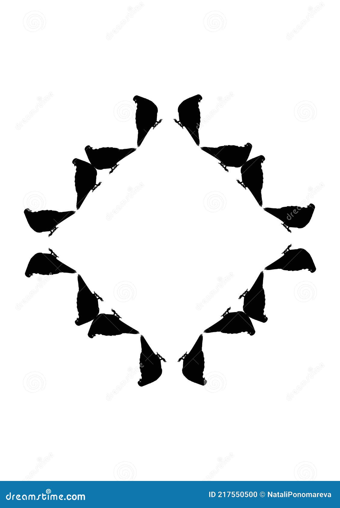 The Frames are Black on a White Background - Silhouettes of Birds ...