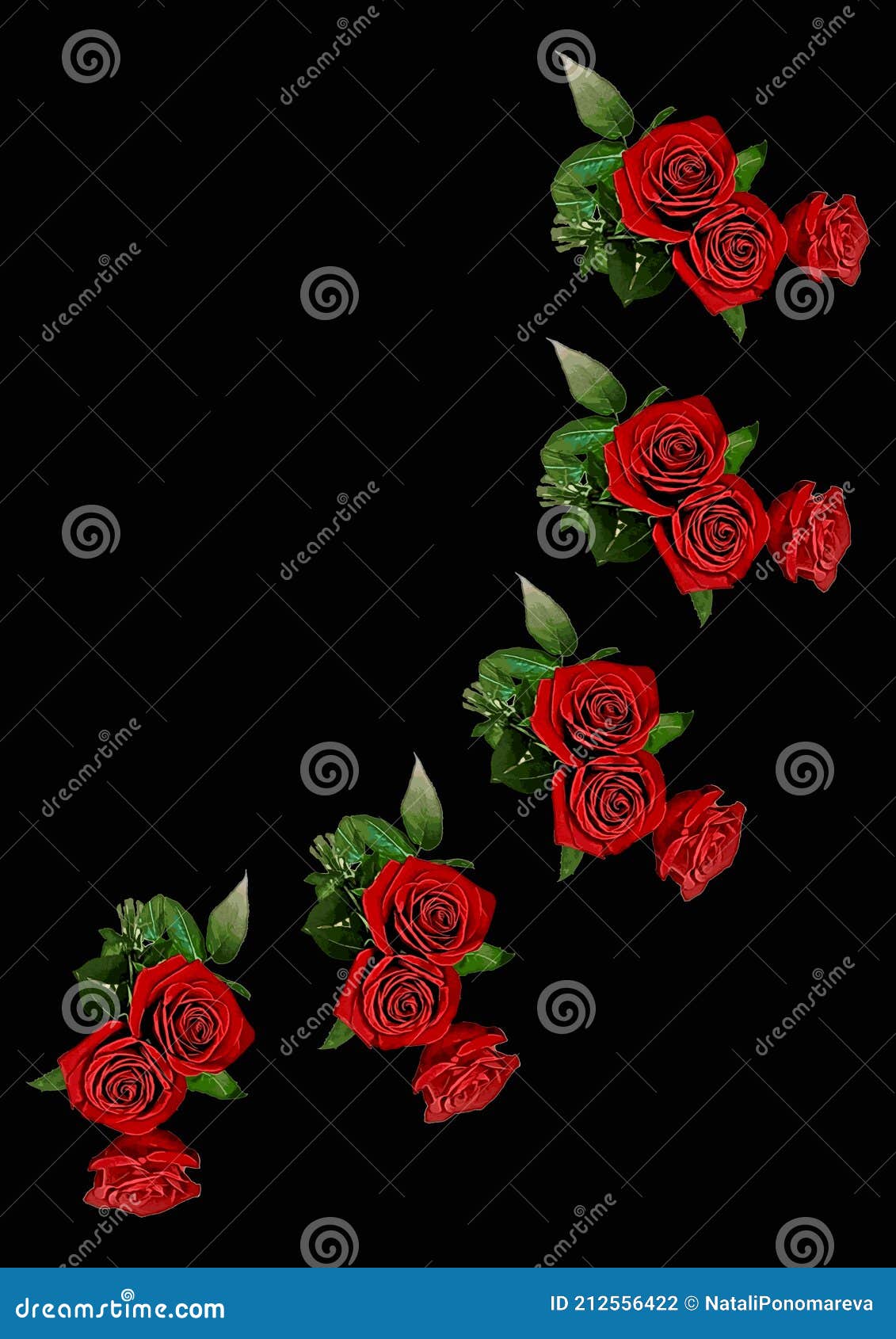 Frames - A Bouquet Of Three Red Roses. Flowers On The Black Background ...