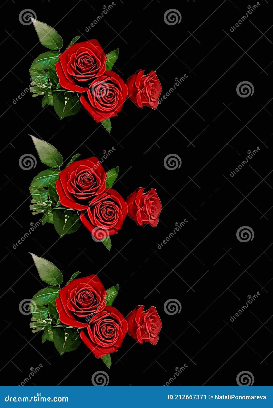 Frames - A Bouquet Of Three Red Roses. Flowers On The Black Background ...