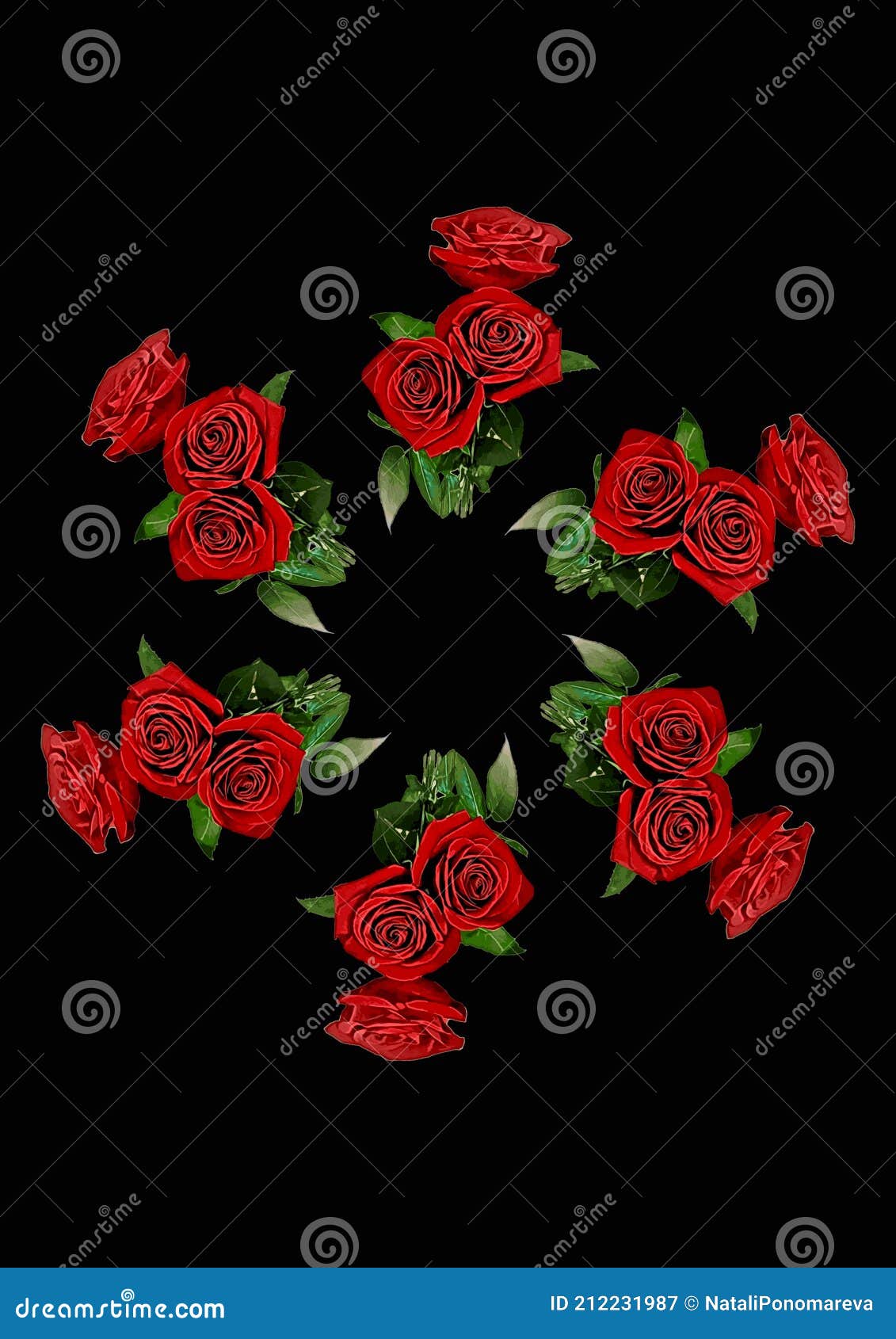 Frames - a Bouquet of Three Red Roses. Flowers on the Black Background ...