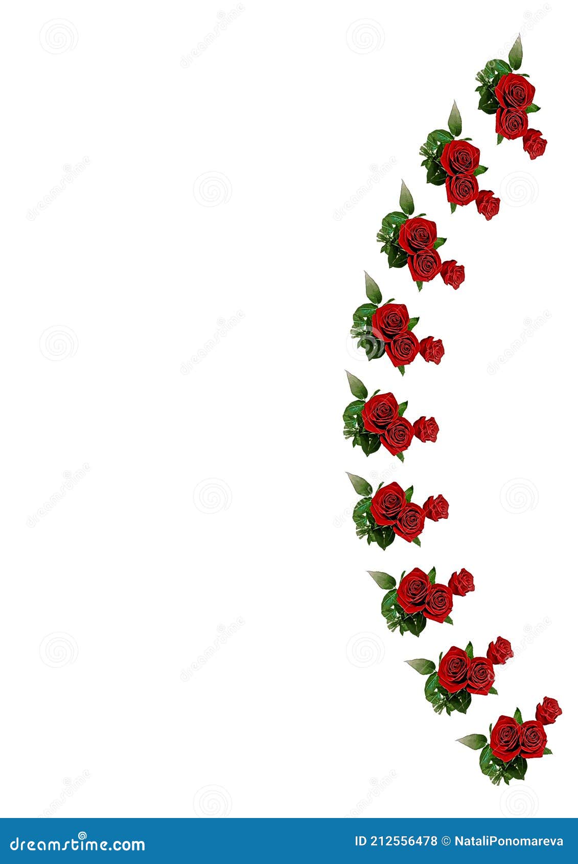 Frames - A Bouquet Of Three Red Roses. Flowers On The Black Background ...