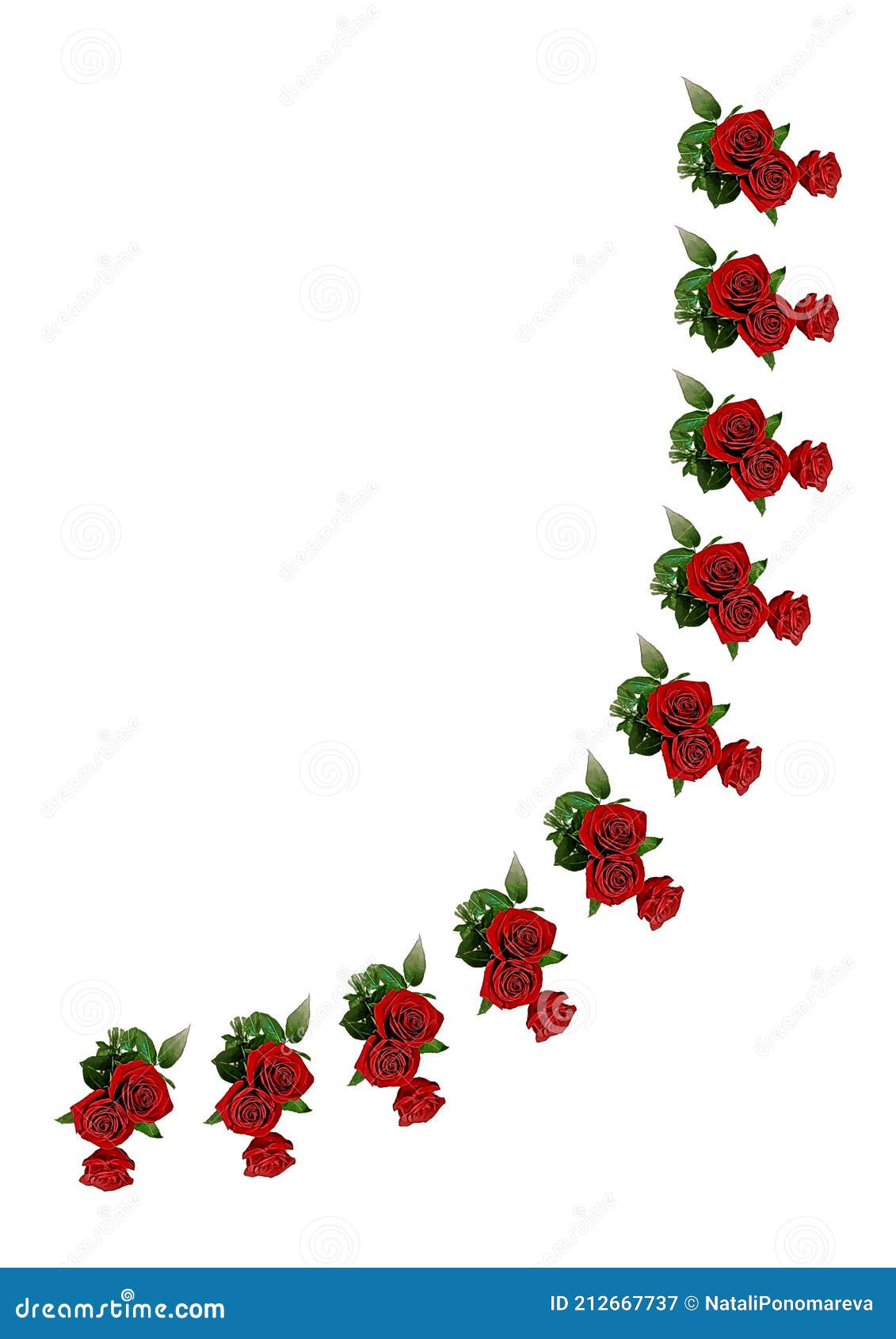 Frames - A Bouquet Of Three Red Roses. Flowers On The White Background ...