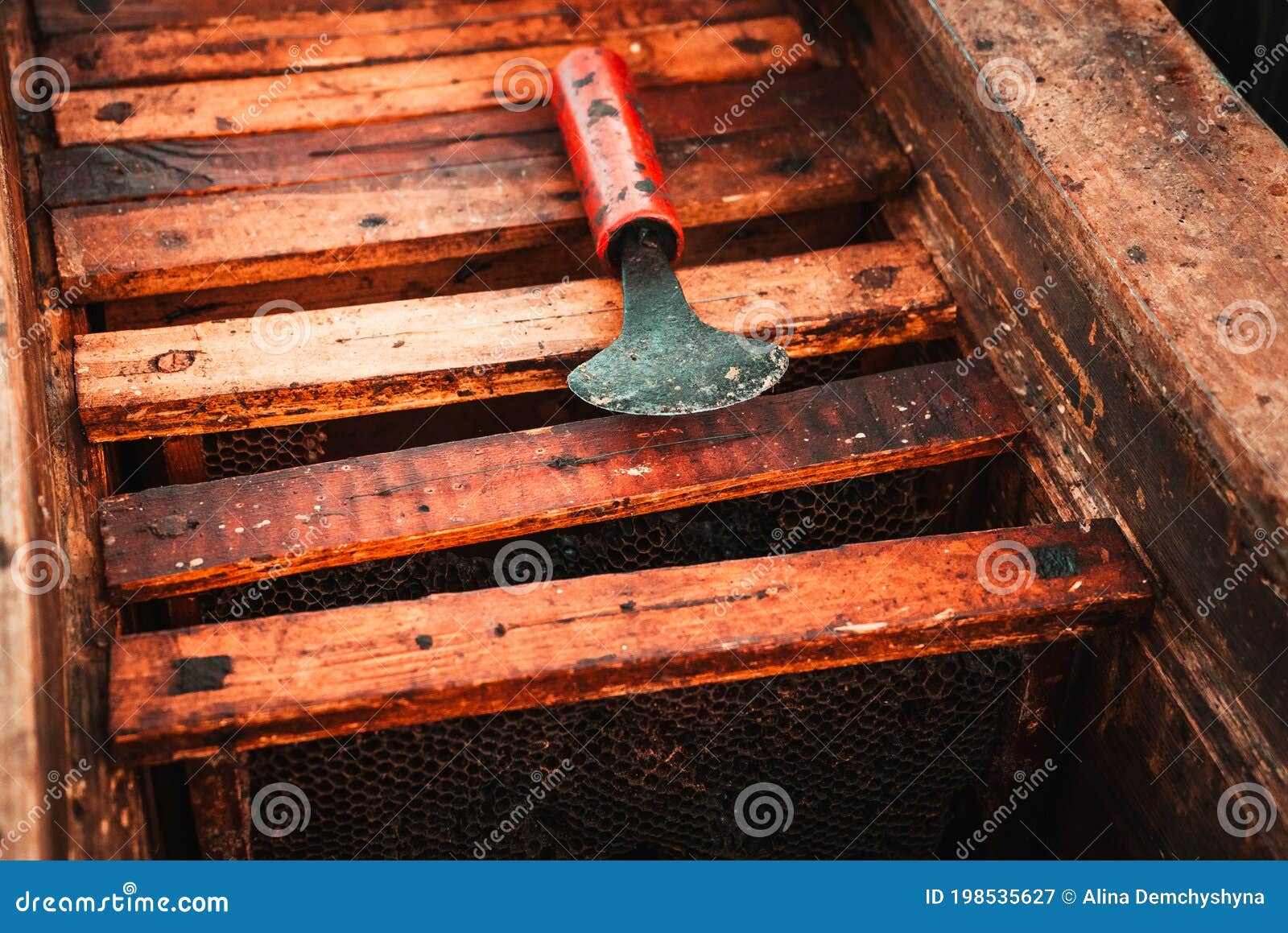 Frames with Honey in a Wooden Beehive in an Apiary 2 Stock Image ...