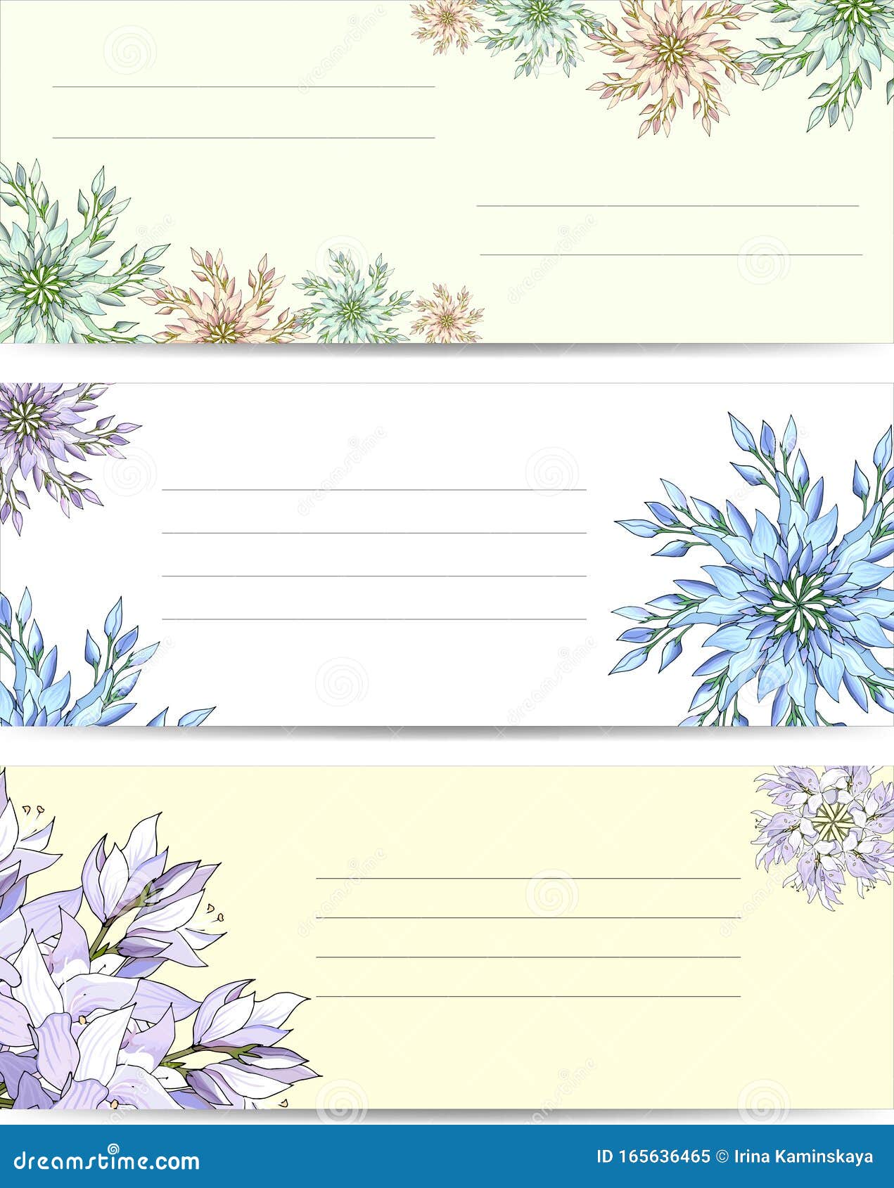 Frames for Text with a Floral Pattern. Set of Cards for Product ...