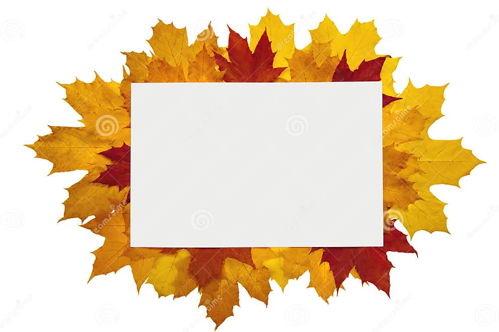 Framework from Autumn Leaves Stock Image - Image of autumn, beautiful ...