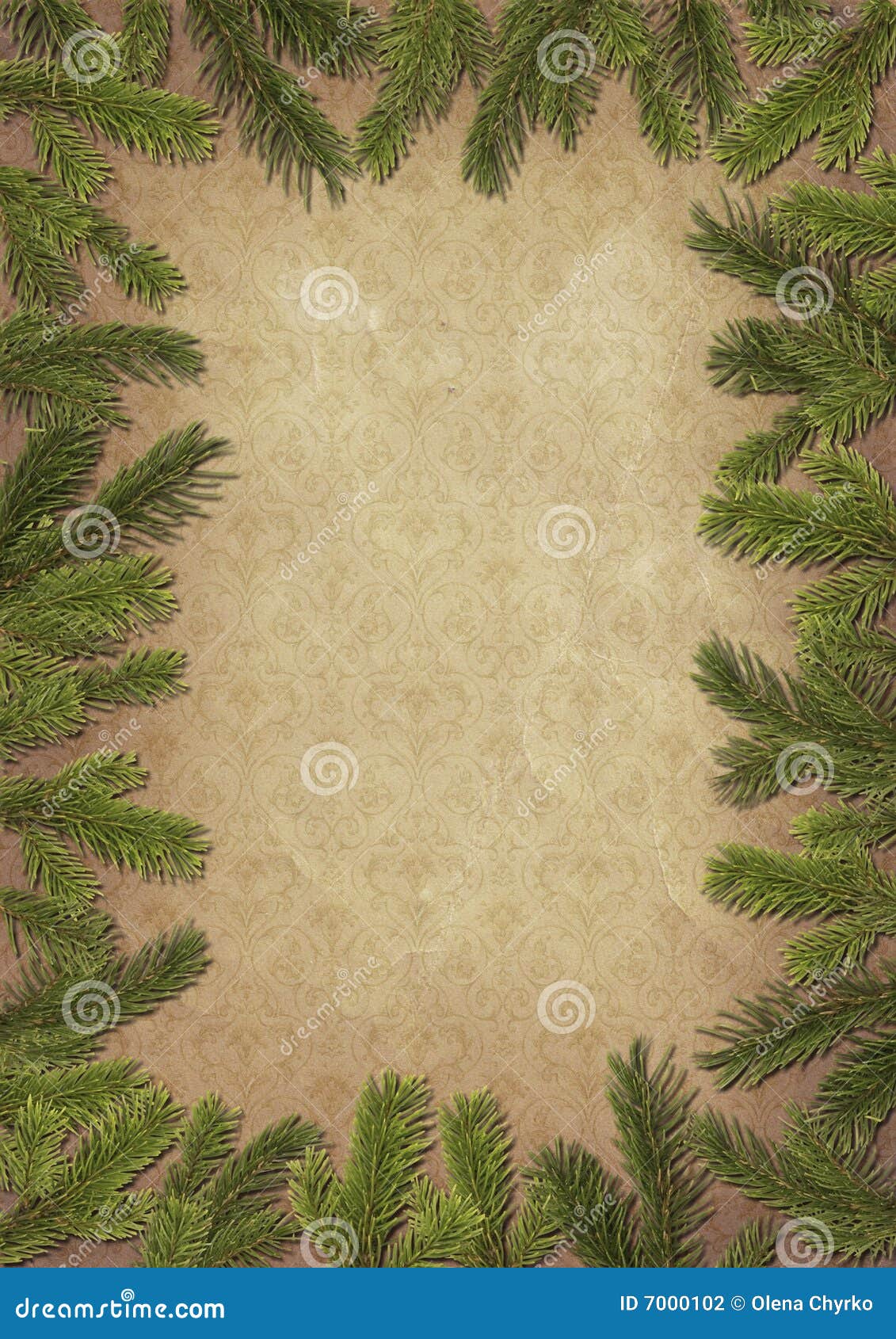 Framework from Branches of a Christmas Tree Stock Photo - Image of ...