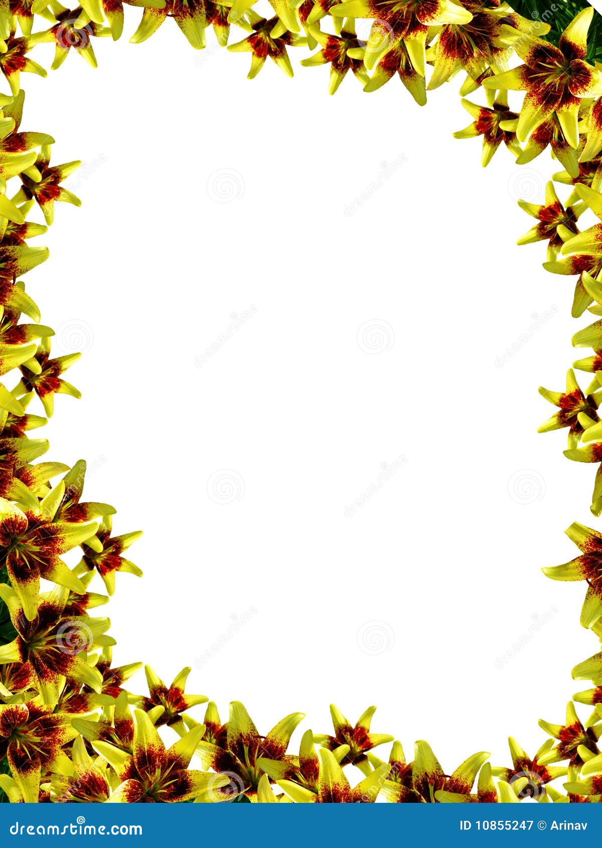 Framework from flower stock illustration. Illustration of celebration ...