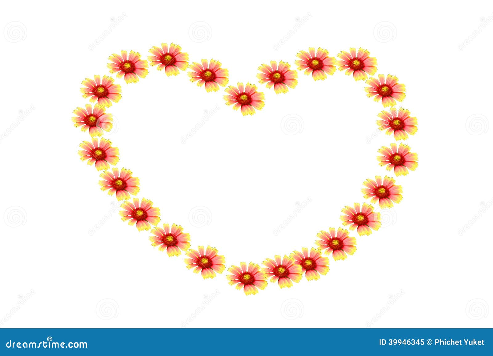 Framework flower stock image. Image of baby, flora, beautify - 39946345