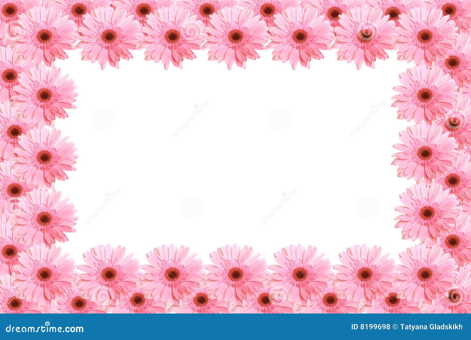 Framework from flowers stock photo. Image of isolated - 8199698