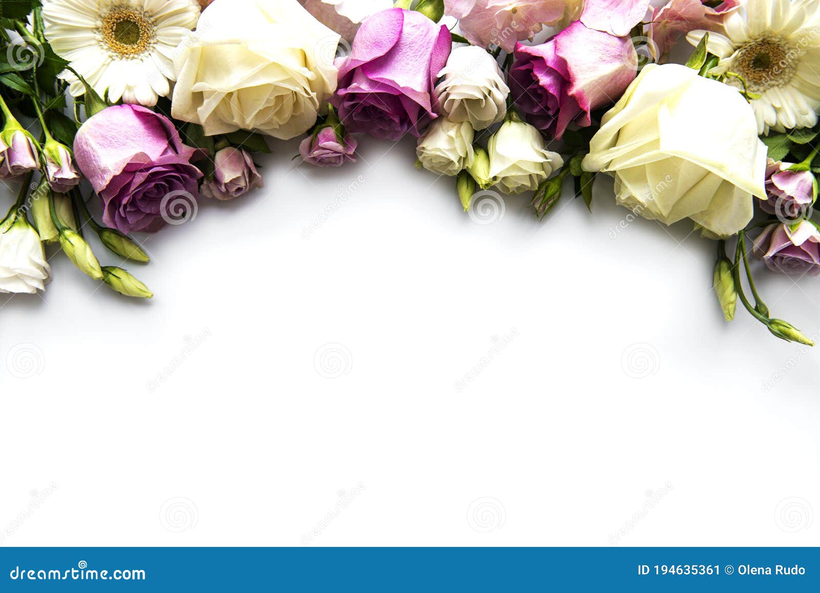 Framework from flowers stock image. Image of flora, petal - 194635361