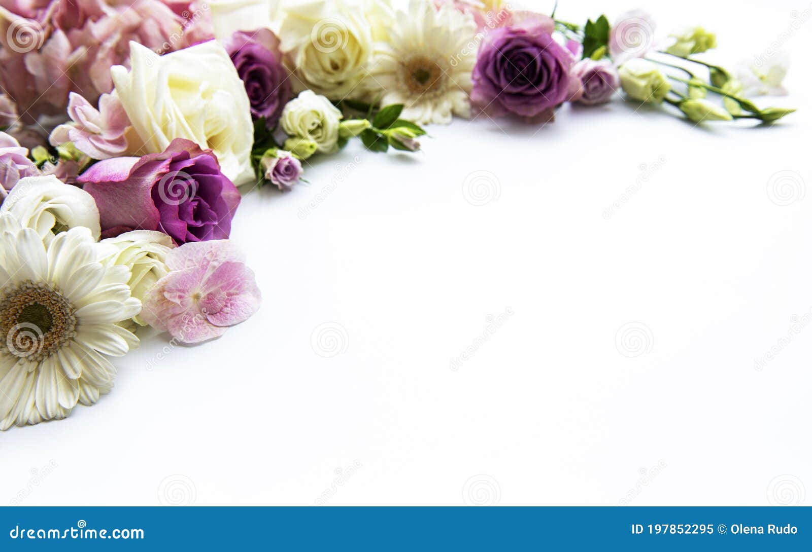 Framework from flowers stock image. Image of flat, beautiful - 197852295