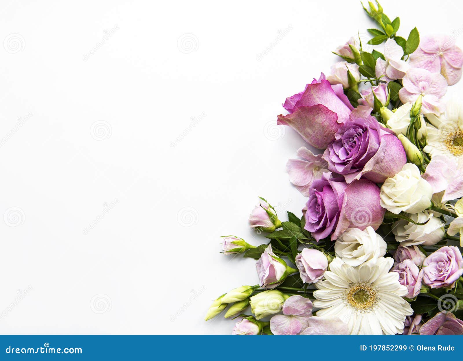 Framework from flowers stock image. Image of botanical - 197852299