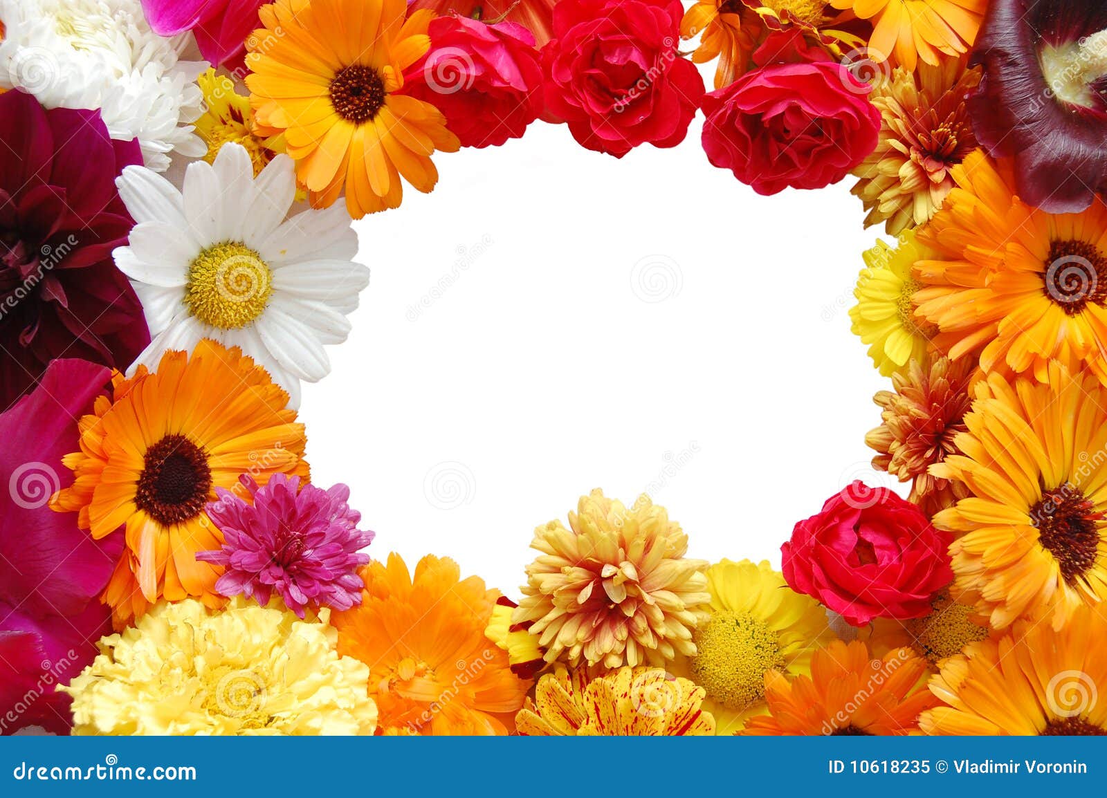 Framework from Flowers with Petals Stock Image - Image of garden ...