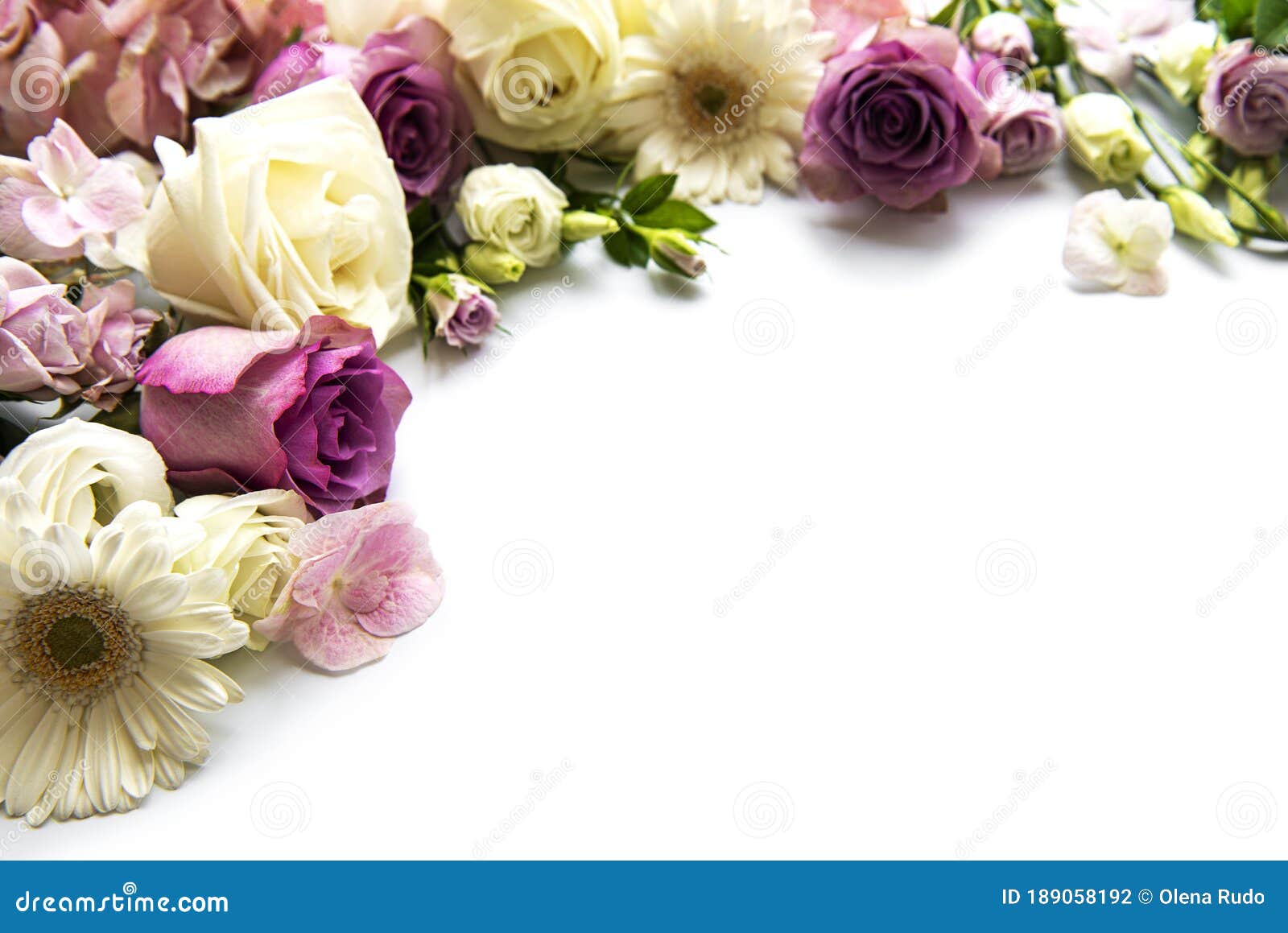 Framework from flowers stock photo. Image of bloom, bouquet - 189058192