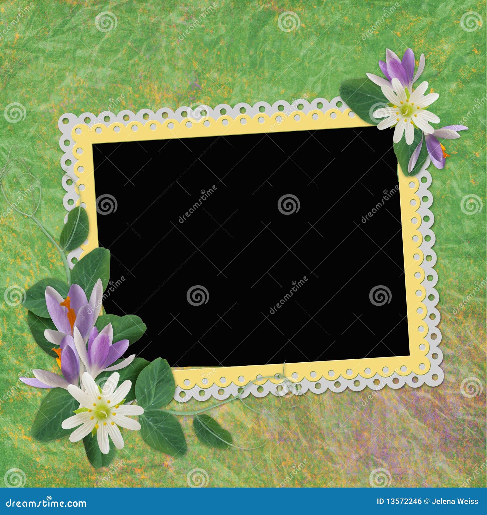 Congratulation Photo Picture Frame Collage Layout Design Cartoon Vector ...