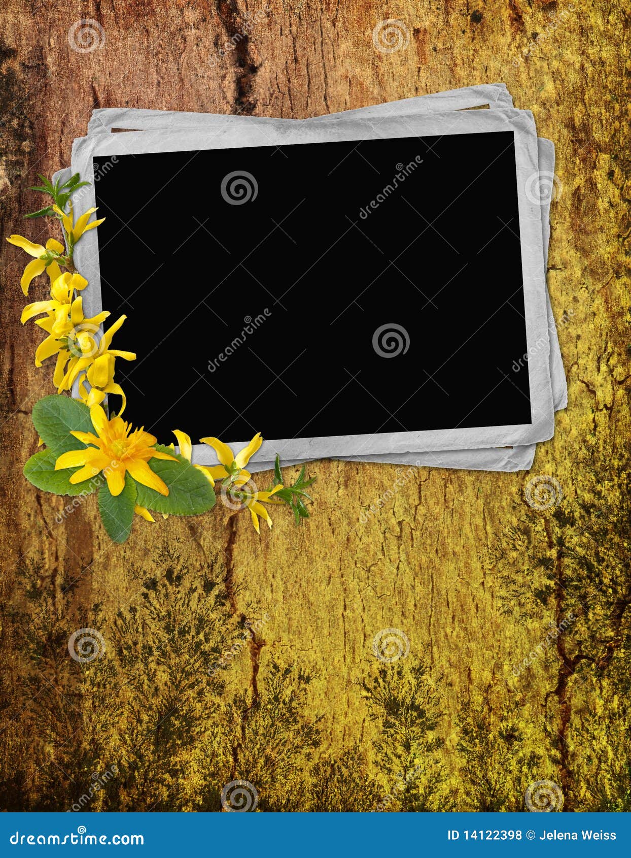 Congratulation Photo Picture Frame Collage Layout Design Cartoon Vector ...