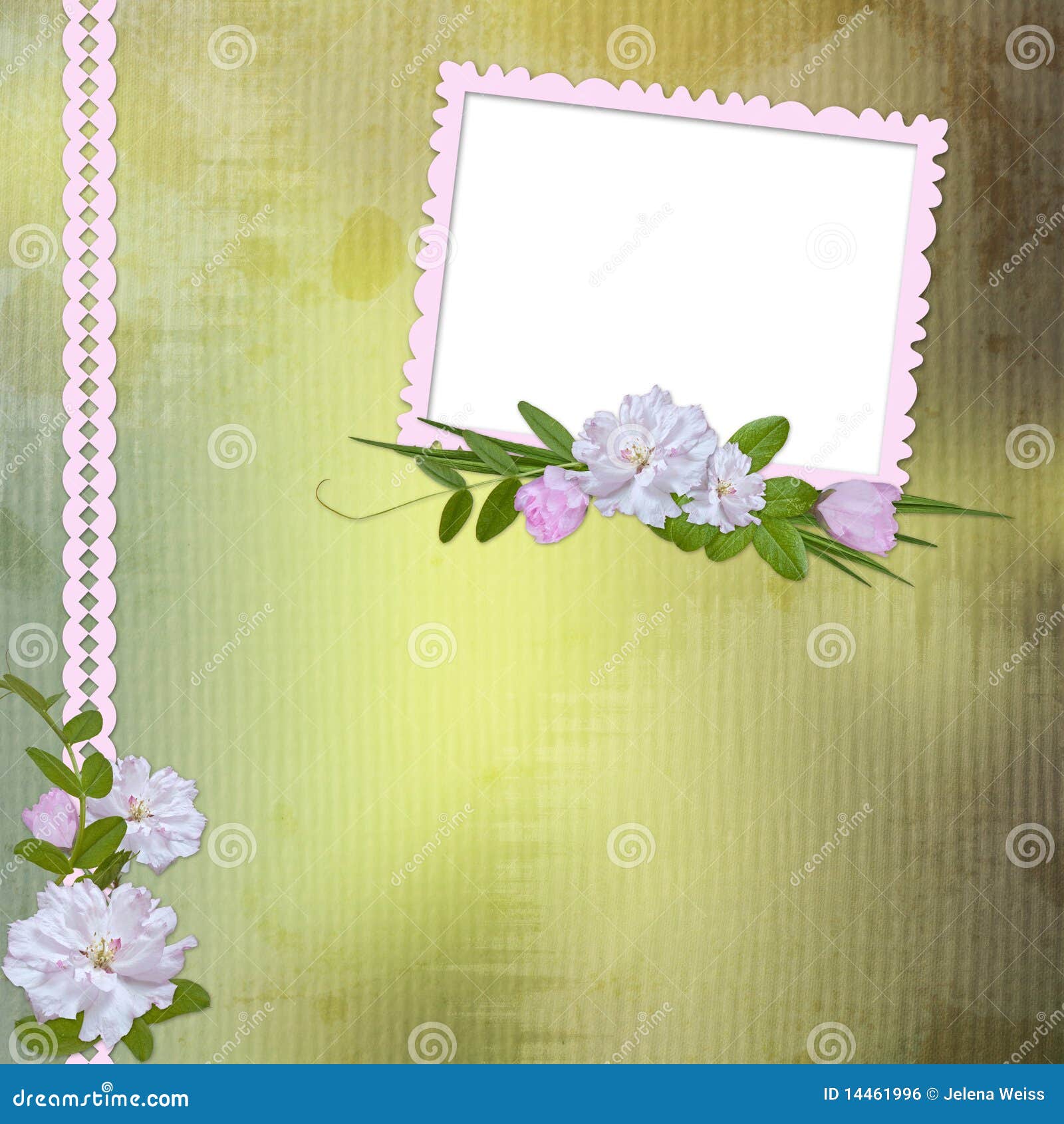 Congratulation Photo Picture Frame Collage Layout Design Cartoon Vector ...