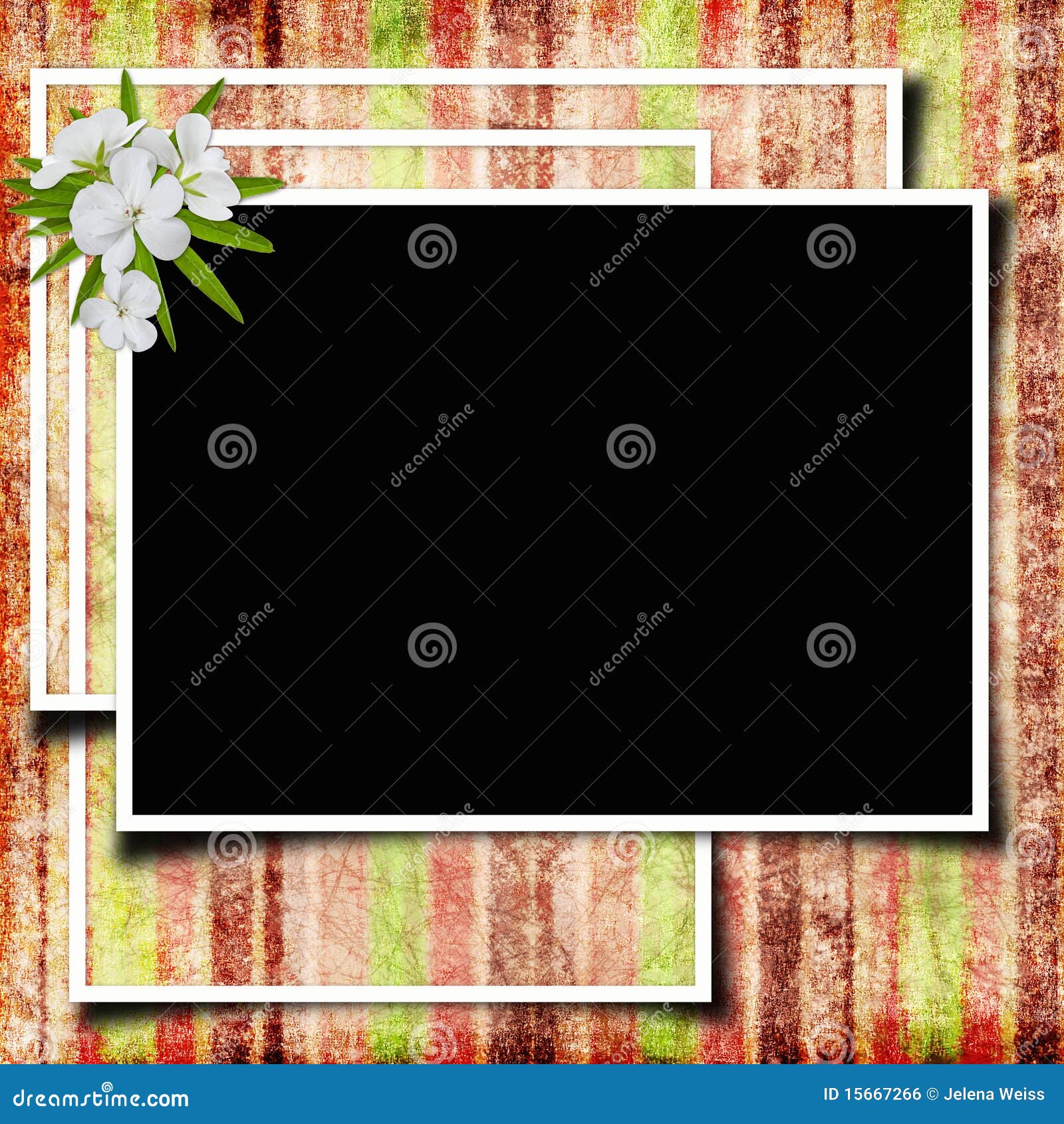 Congratulation Photo Picture Frame Collage Layout Design Cartoon Vector ...