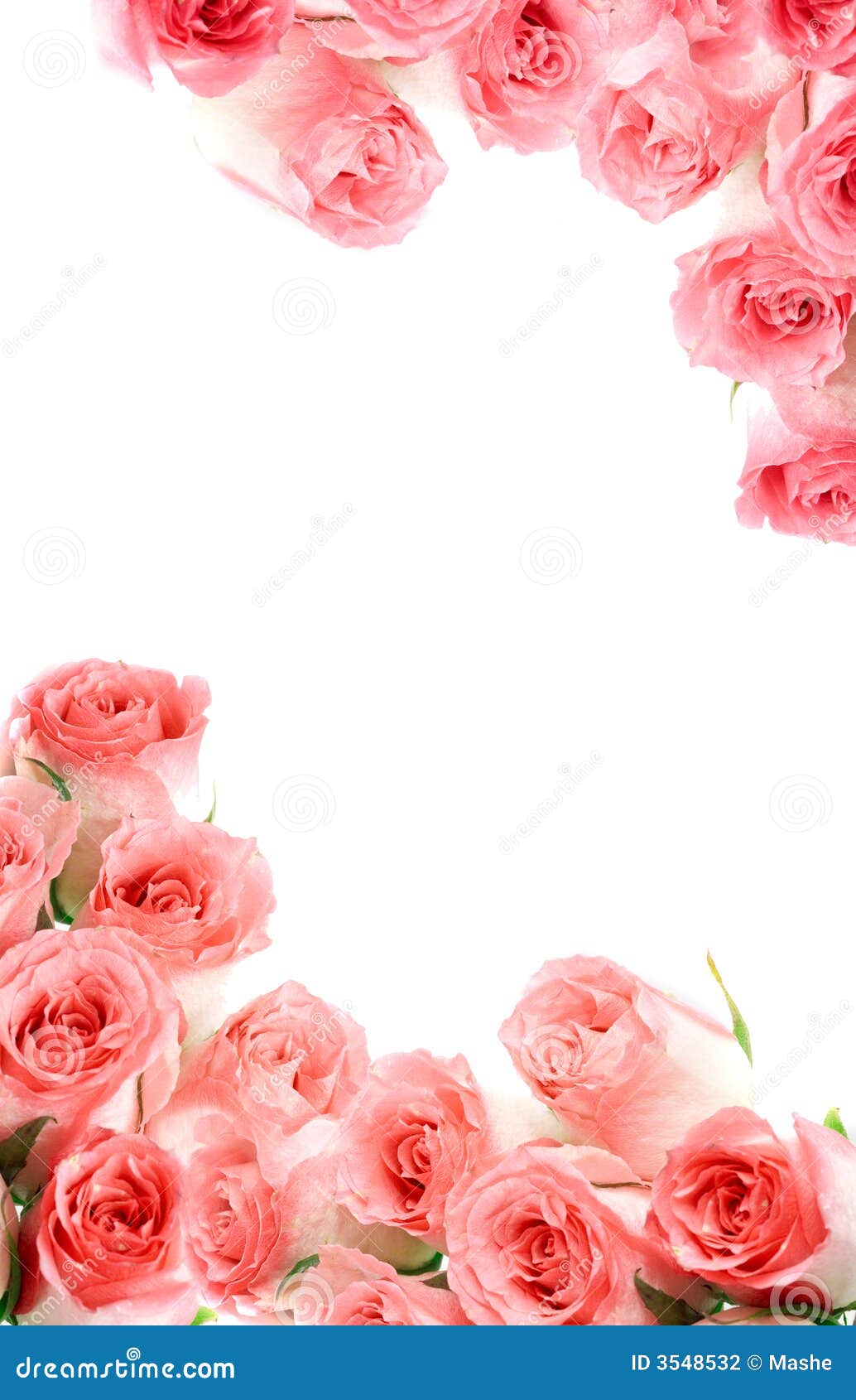 Framework from roses. stock photo. Image of marriage, botanical - 3548532