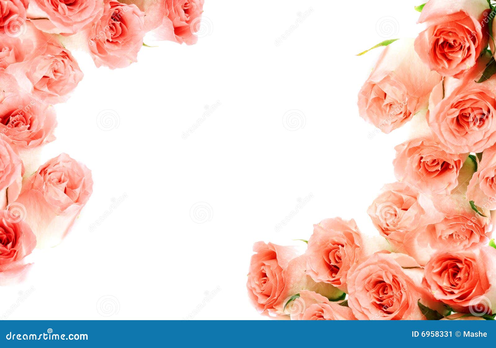 Framework from roses stock image. Image of bloom, petal - 6958331
