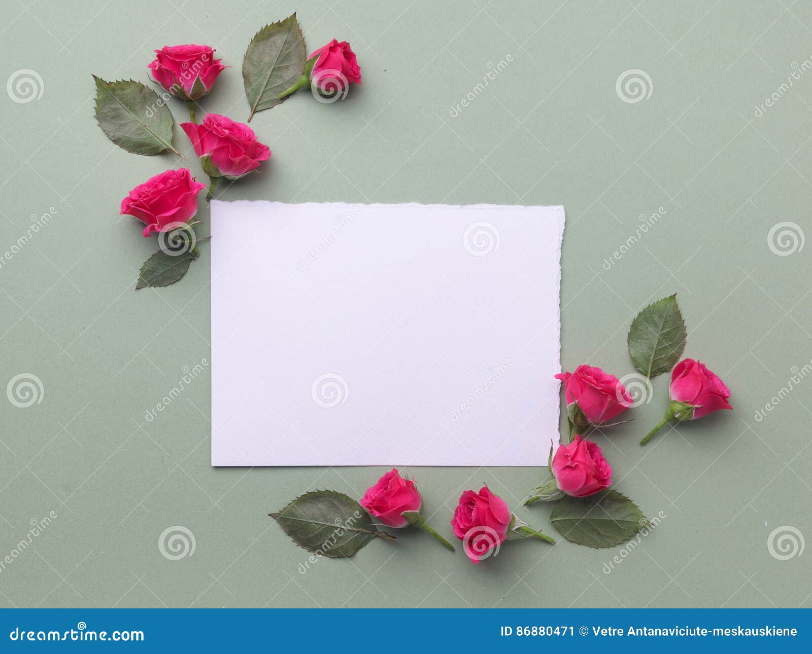 Framework from Roses on Green Background. Flat Lay Stock Image - Image ...