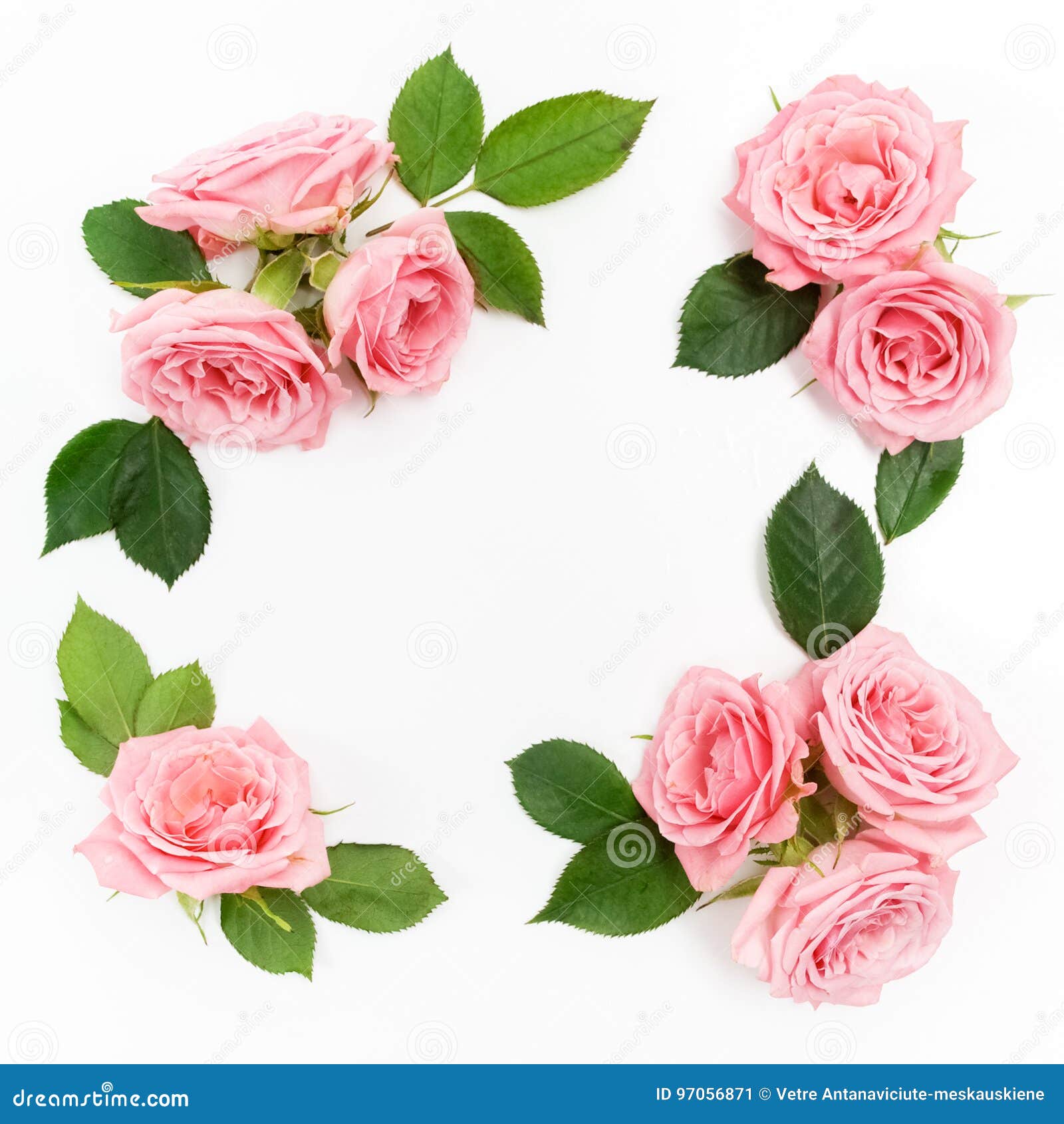 Red Roses On A Red Framework For Photos. | CartoonDealer.com #5534628