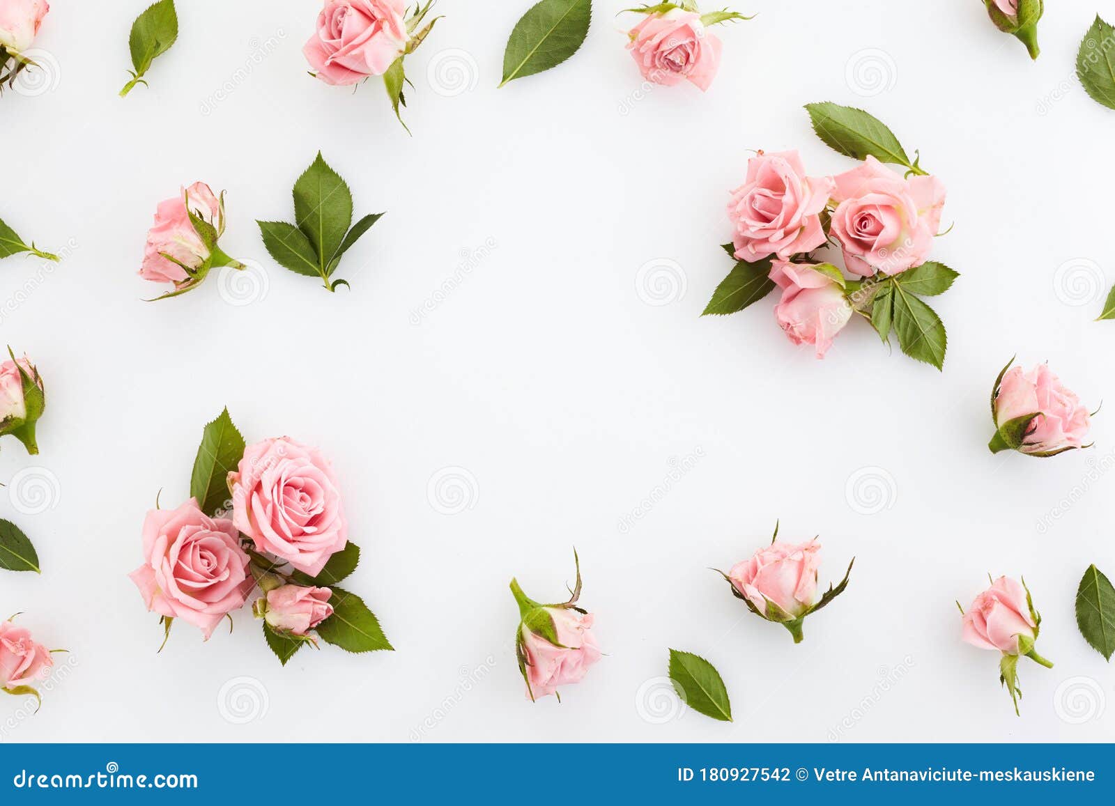 Framework from Roses on White Background. Flat Lay. Top View Stock ...