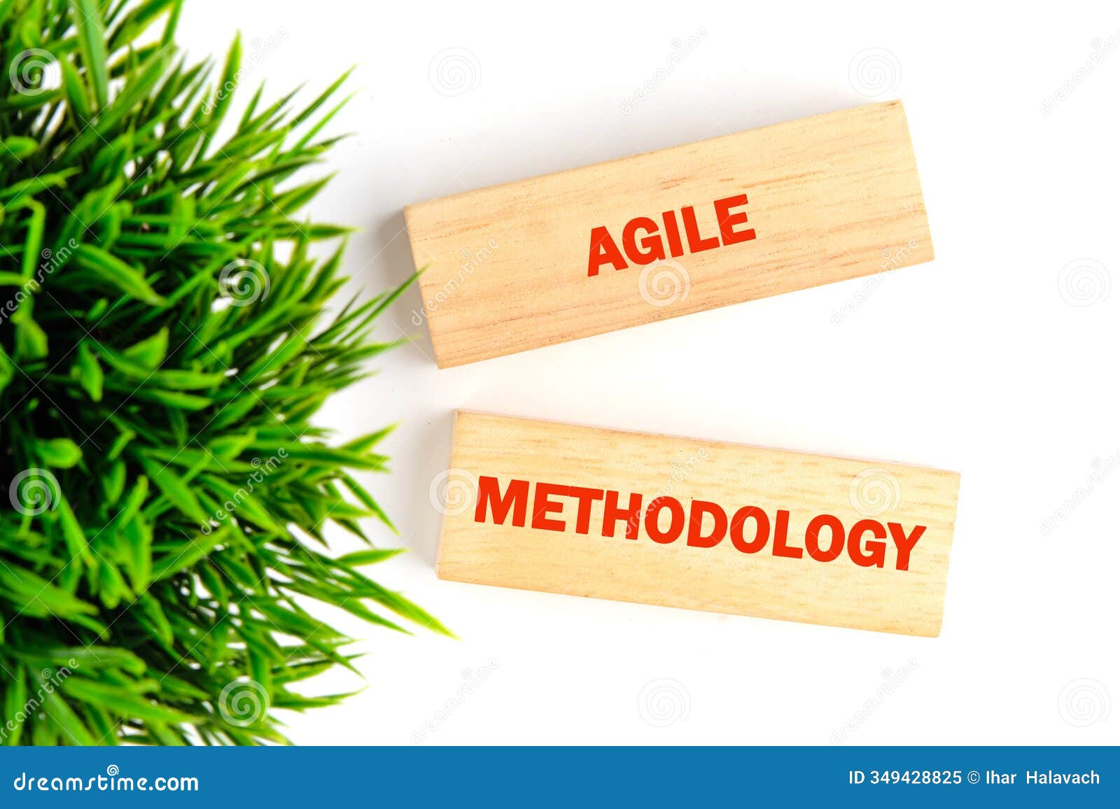 Frameworks Promoting Agile Methodology for Effective Project Management ...