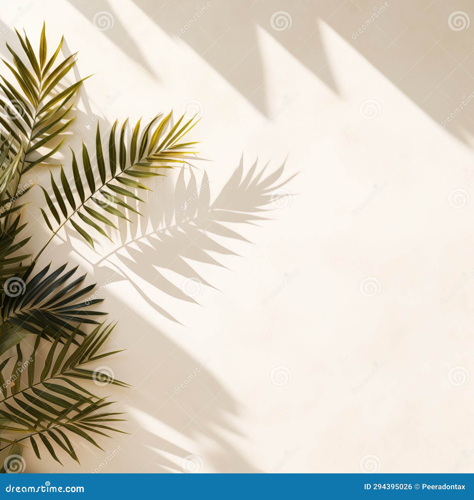 Framing Border with Tropical Leaves Arrangement and Leave Shadow on ...