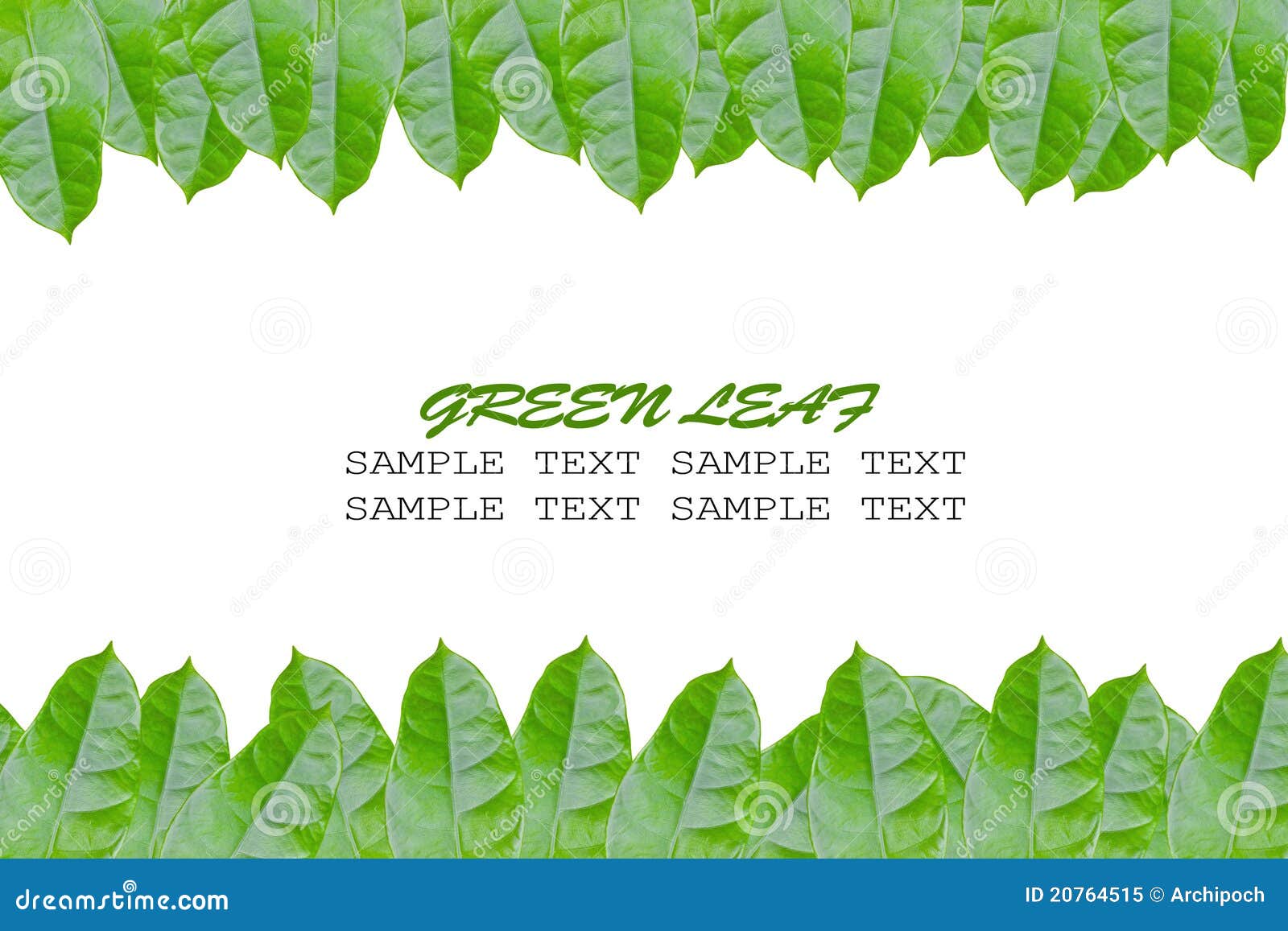 Framing of green leaves stock image. Image of healthy - 20764515