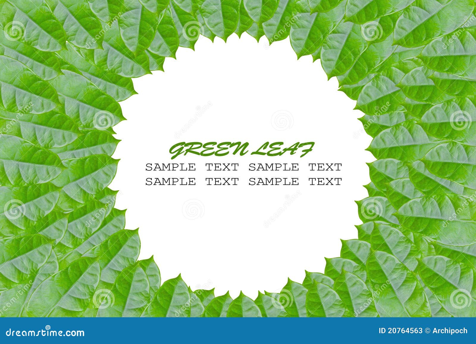 Framing of green leaves stock image. Image of foliage - 20764563